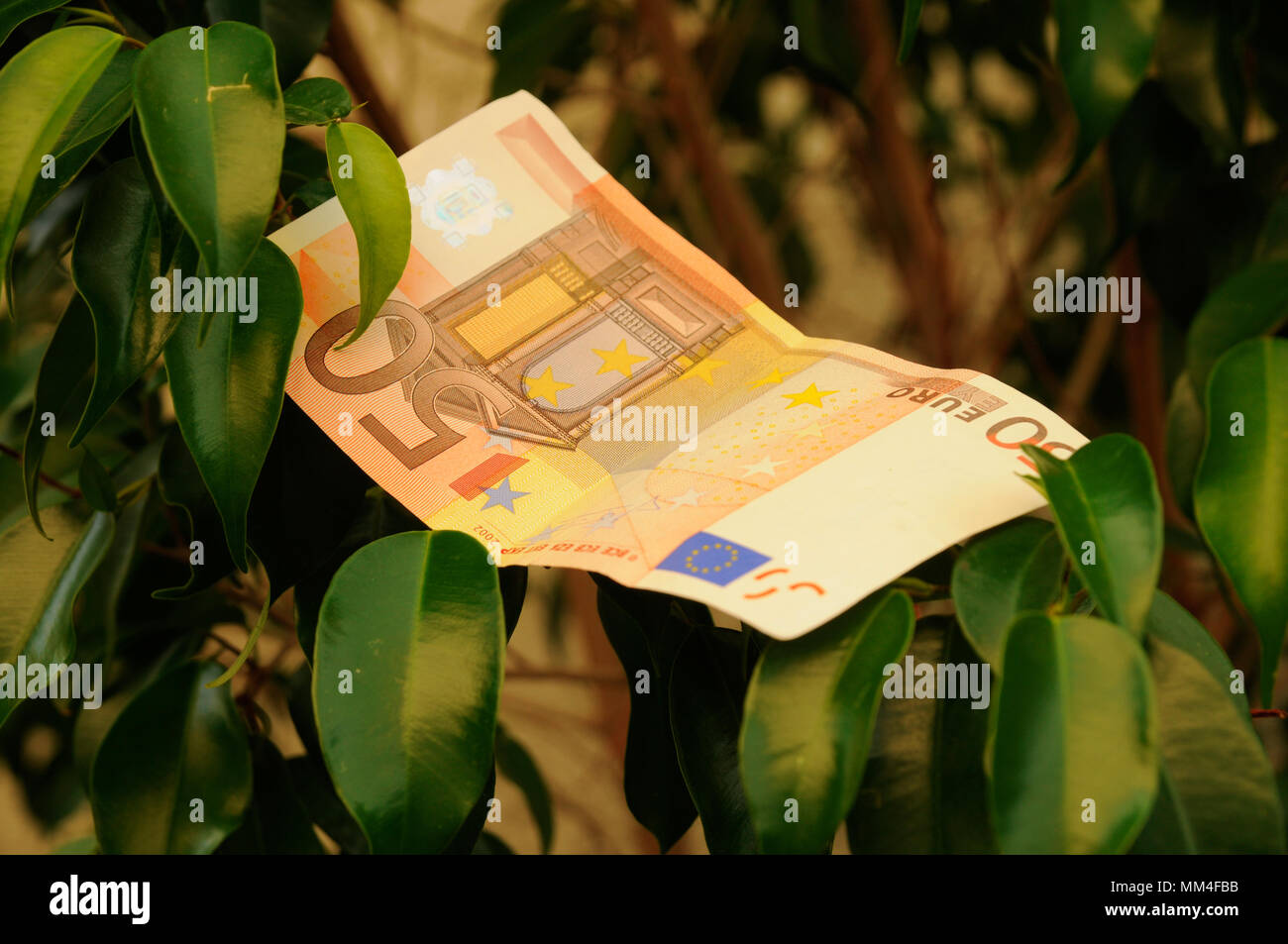 Green economy fund -Fotos und -Bildmaterial in hoher Auflösung – Alamy