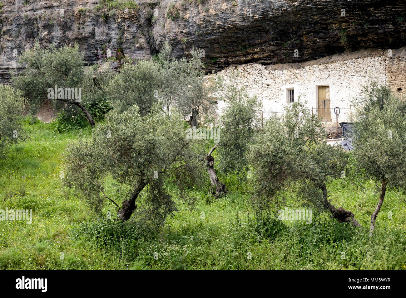 Weiße Höhle Stockfotos und -bilder Kaufen - Alamy