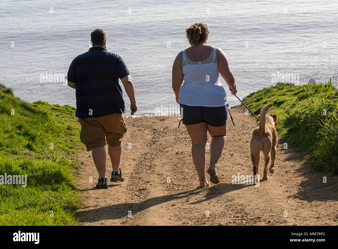 Schlaffer hund -Fotos und -Bildmaterial in hoher Auflösung – Alamy