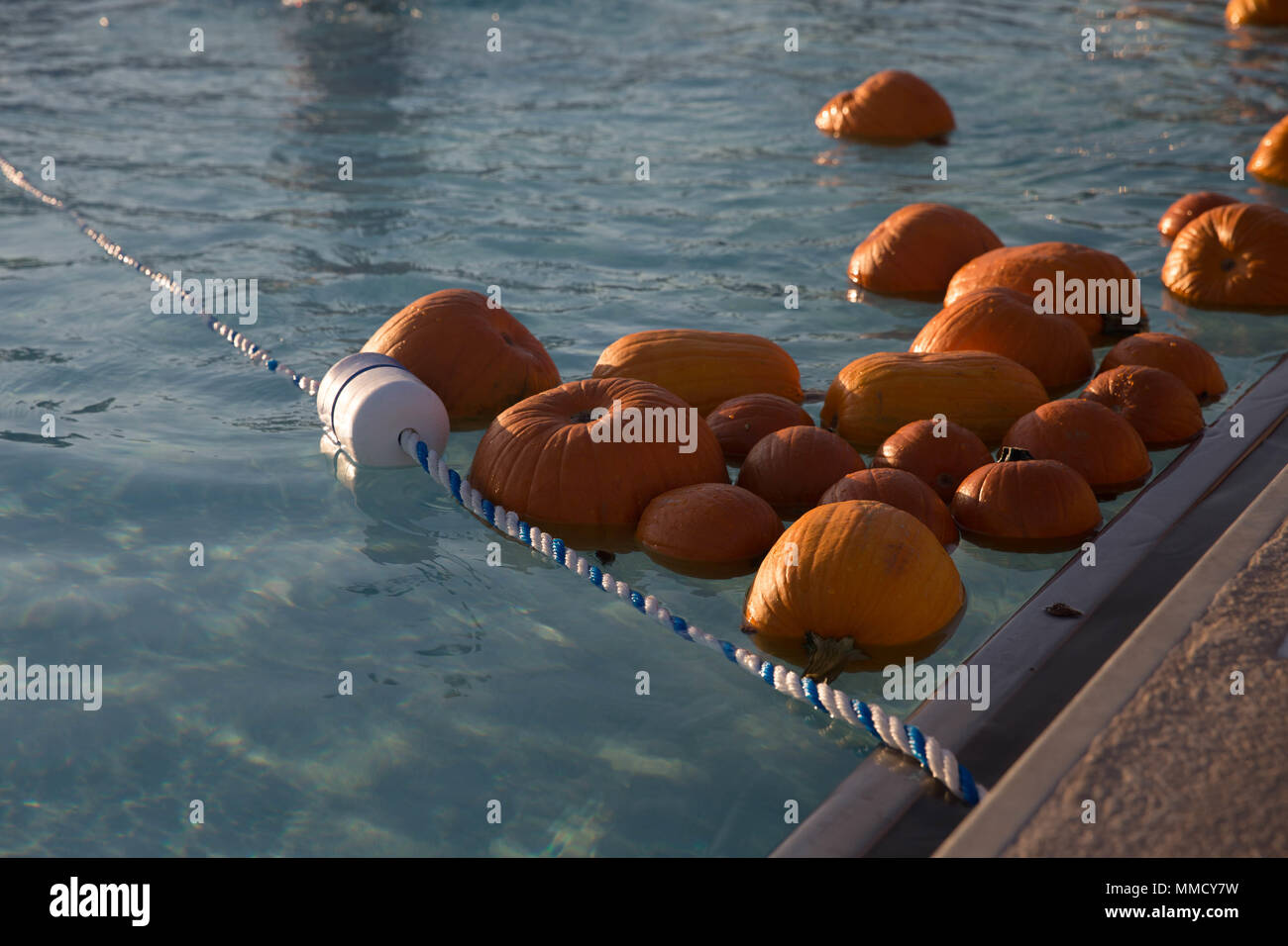 Mccs aquatics -Fotos und -Bildmaterial in hoher Auflösung – Alamy