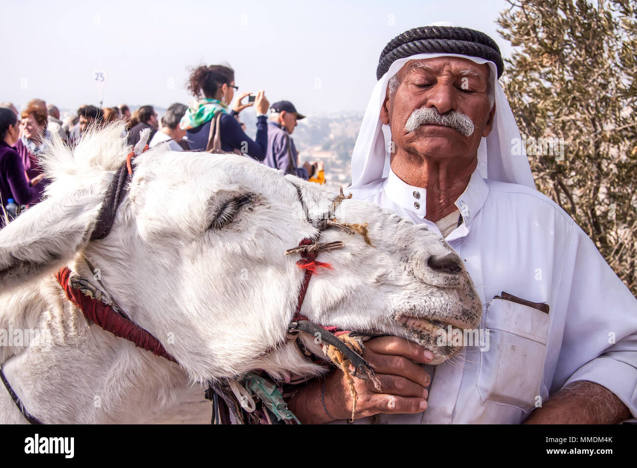 Cyprus donkey -Fotos und -Bildmaterial in hoher Auflösung – Alamy