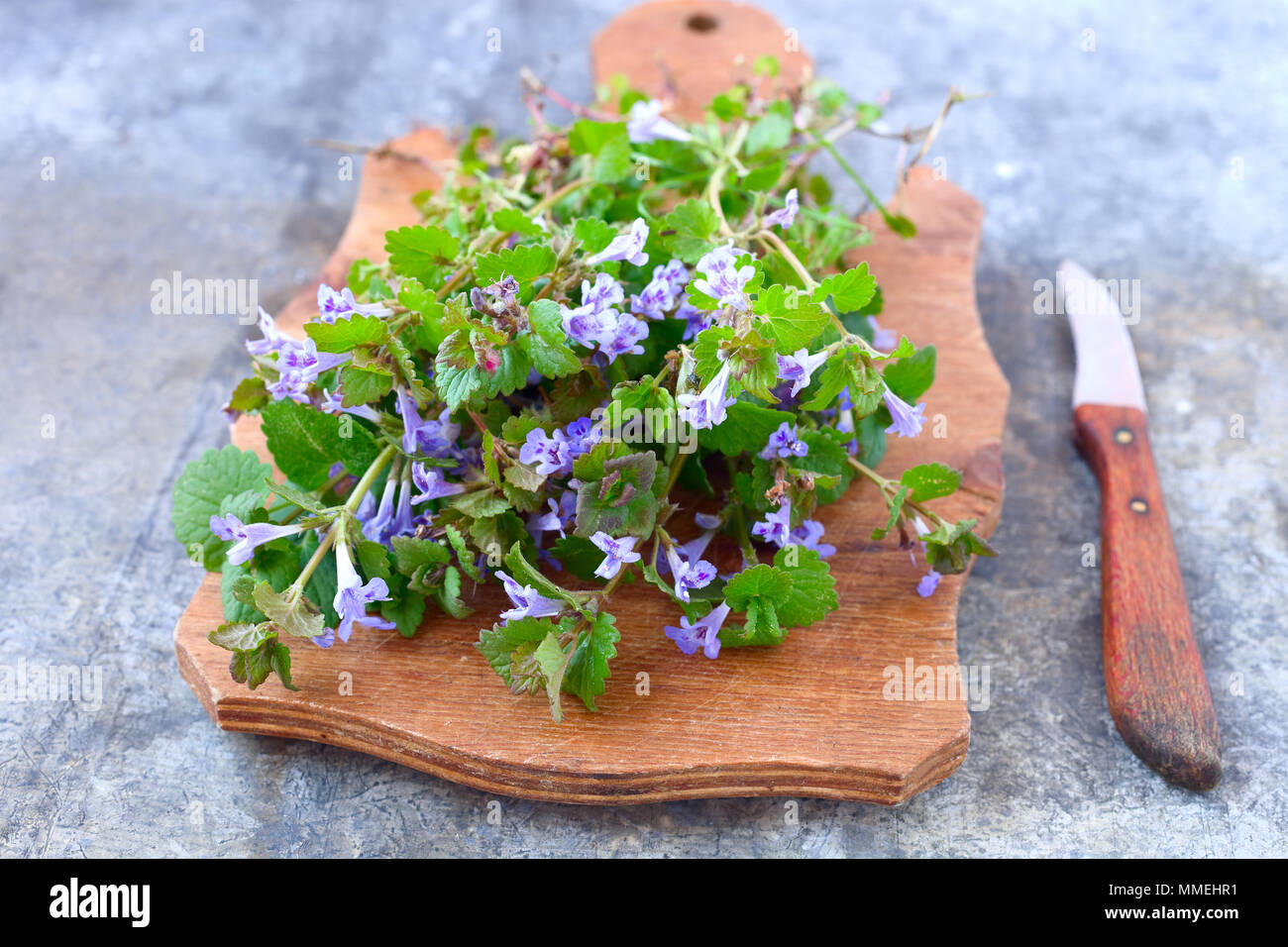 Field balm -Fotos und -Bildmaterial in hoher Auflösung – Alamy