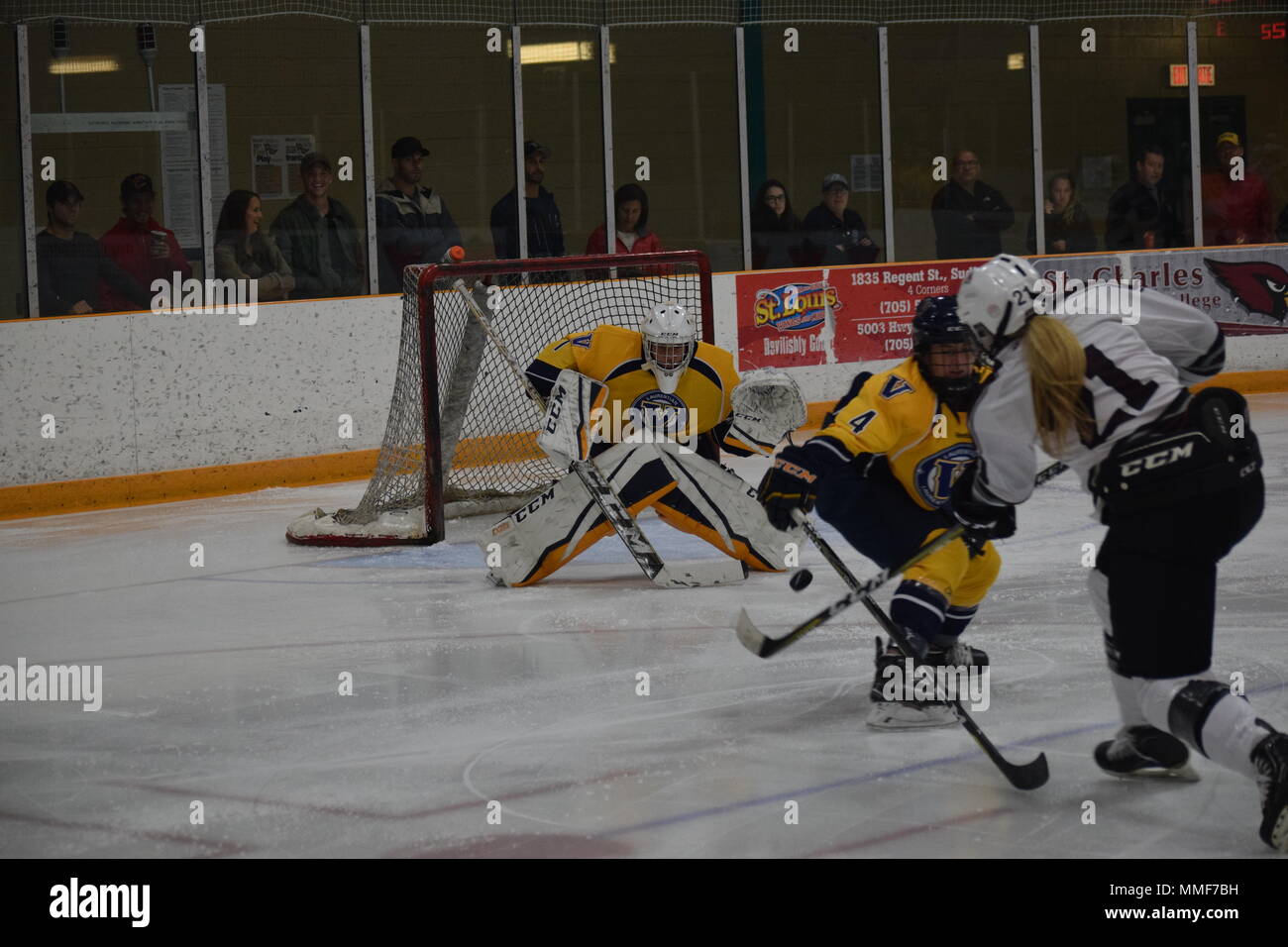 Gee gees -Fotos und -Bildmaterial in hoher Auflösung – Alamy