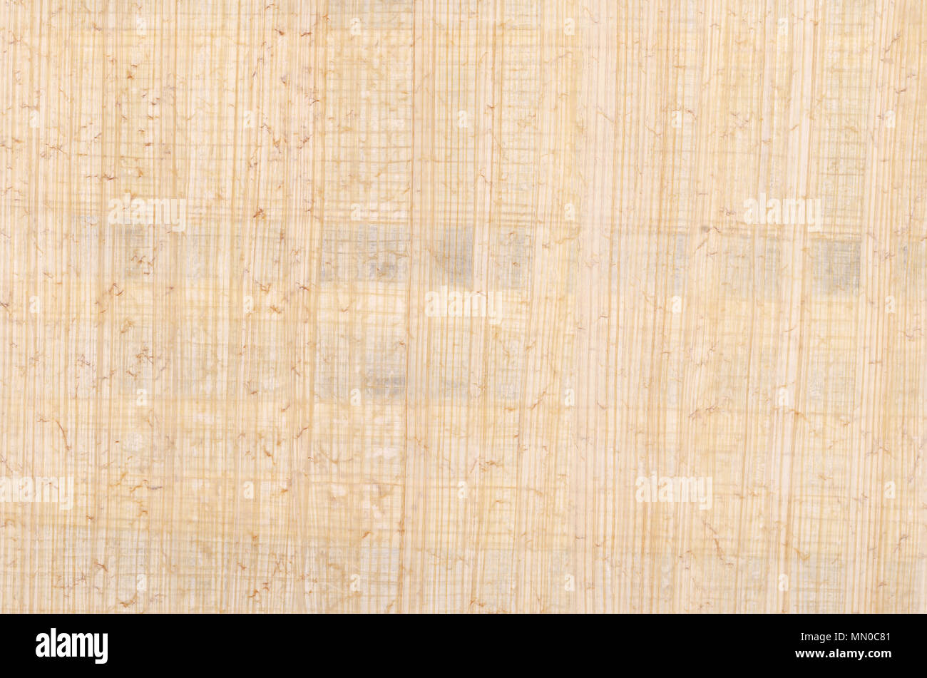 Papyrus Oder Papyrus Cyperus Papyrus Stockfotos und -bilder Kaufen - Alamy