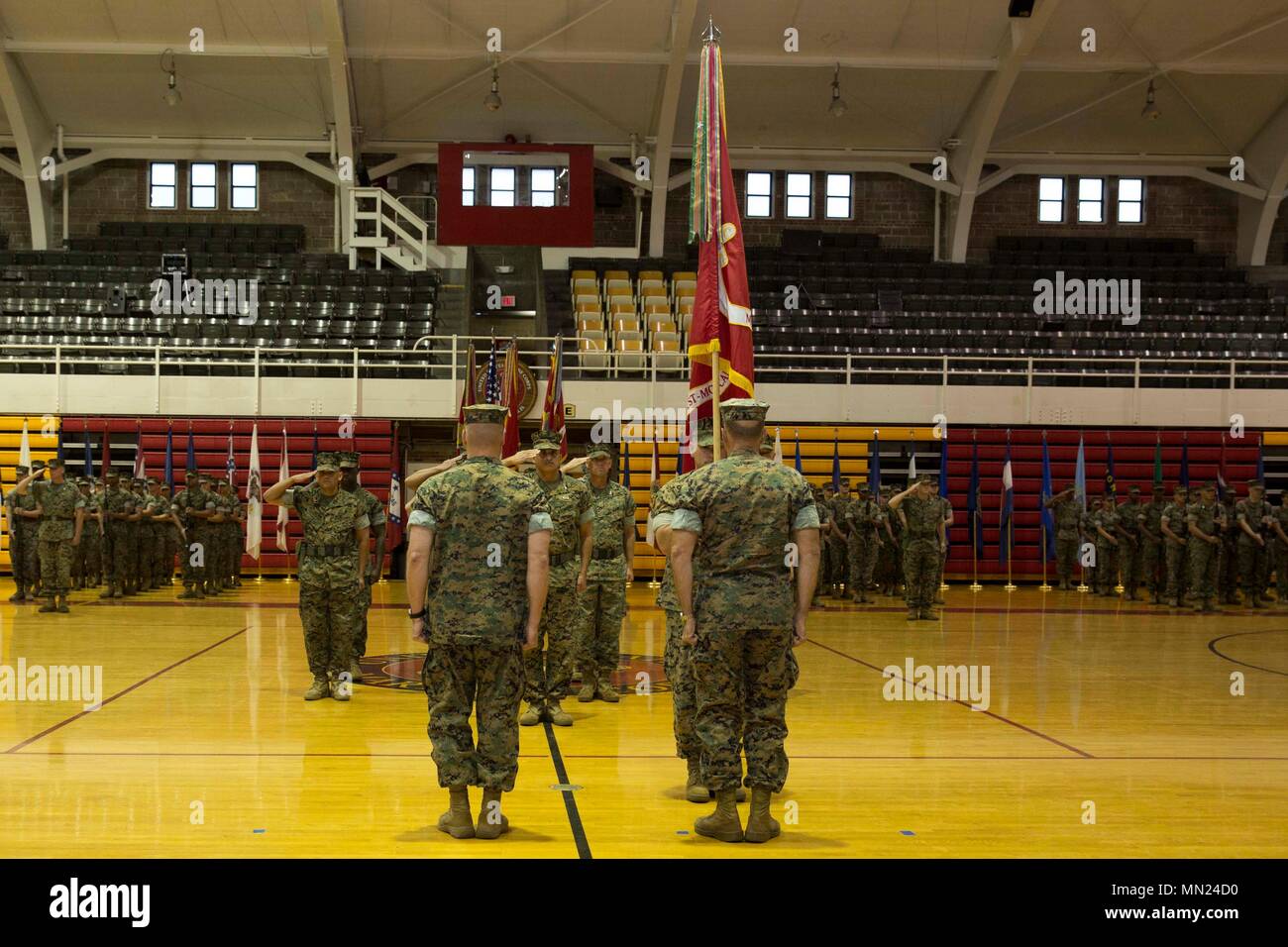 Ursula major -Fotos und -Bildmaterial in hoher Auflösung – Alamy