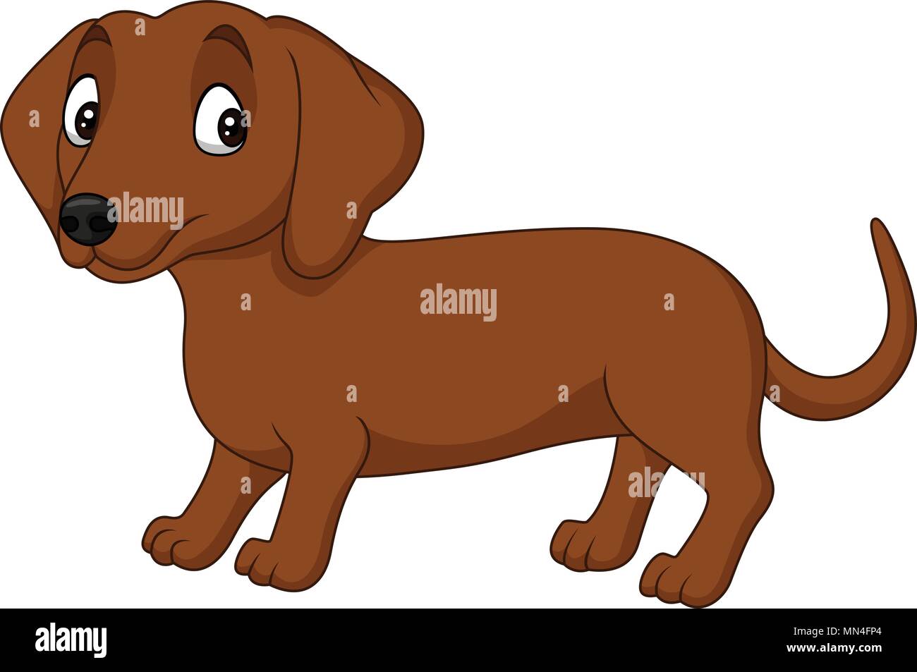 Dackel stehend Stock-Vektorgrafiken kaufen - Alamy