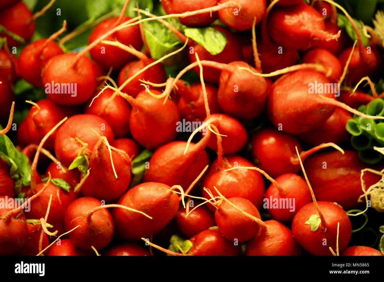 Radieschen bauernmarkt -Fotos und -Bildmaterial in hoher Auflösung – Alamy