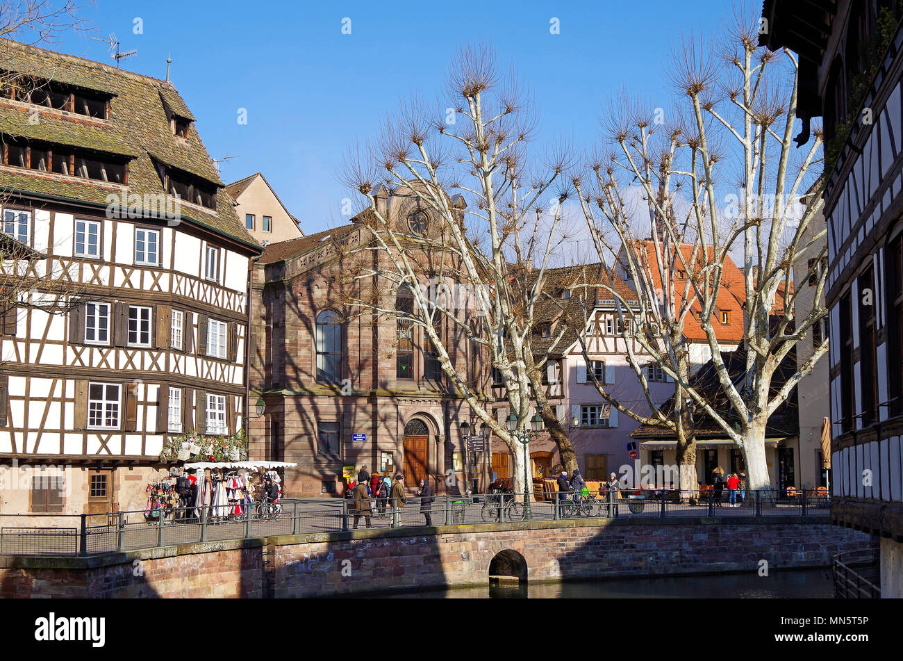 Drei sehr hohe pollarded platanen -Fotos und -Bildmaterial in hoher ...