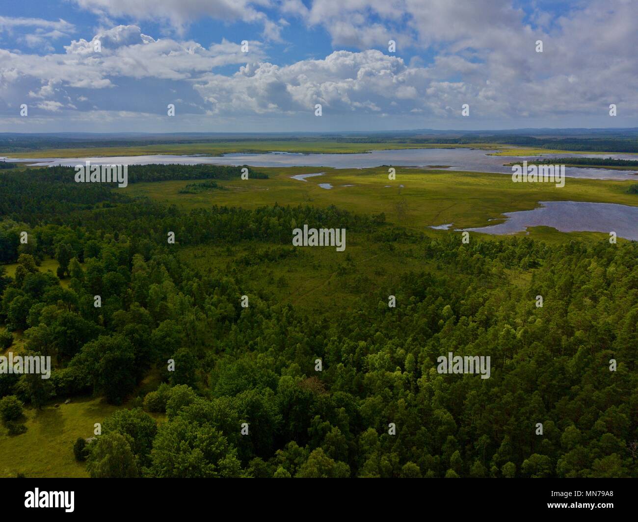 Store Mosse Nationalpark in Schweden Stockfotografie - Alamy
