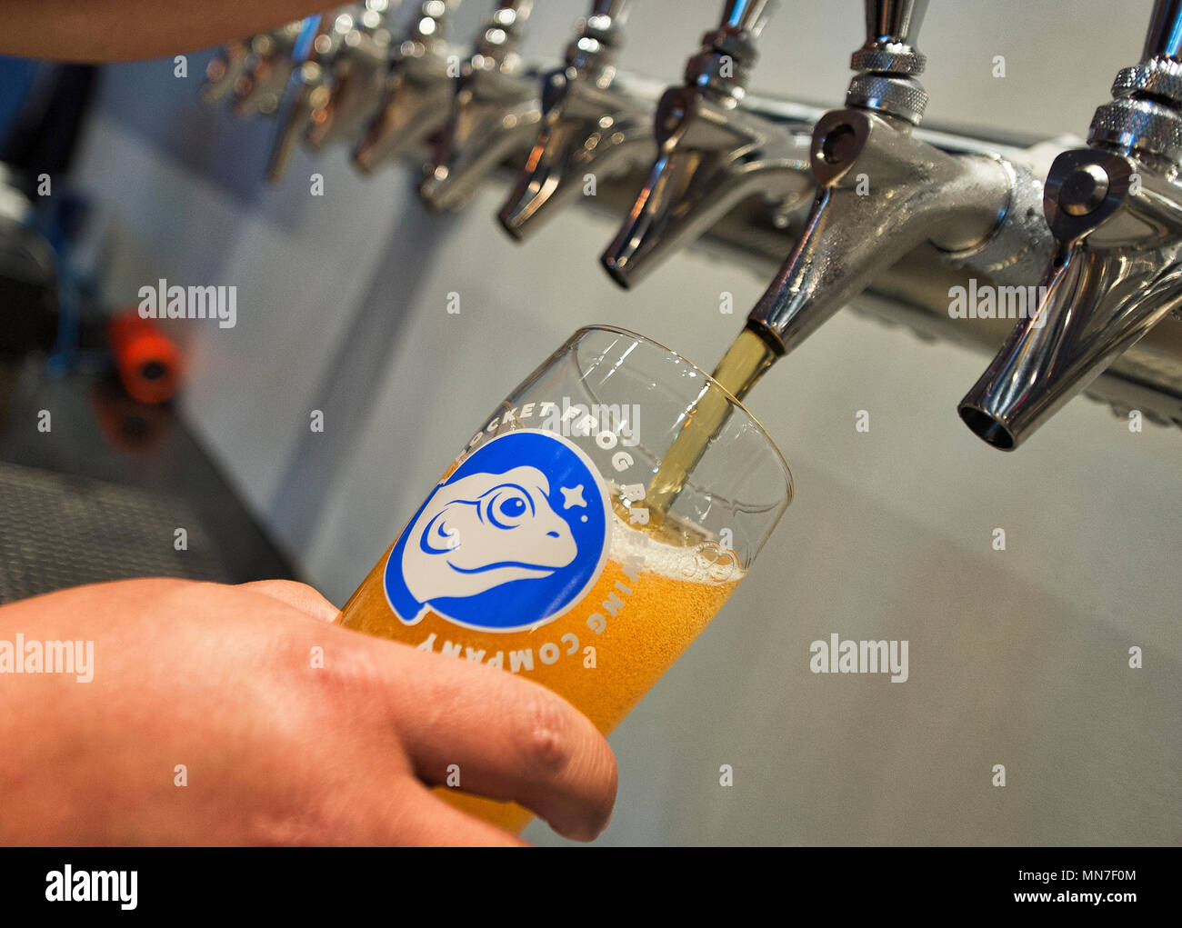 Raketenfrosch brauerei -Fotos und -Bildmaterial in hoher Auflösung – Alamy