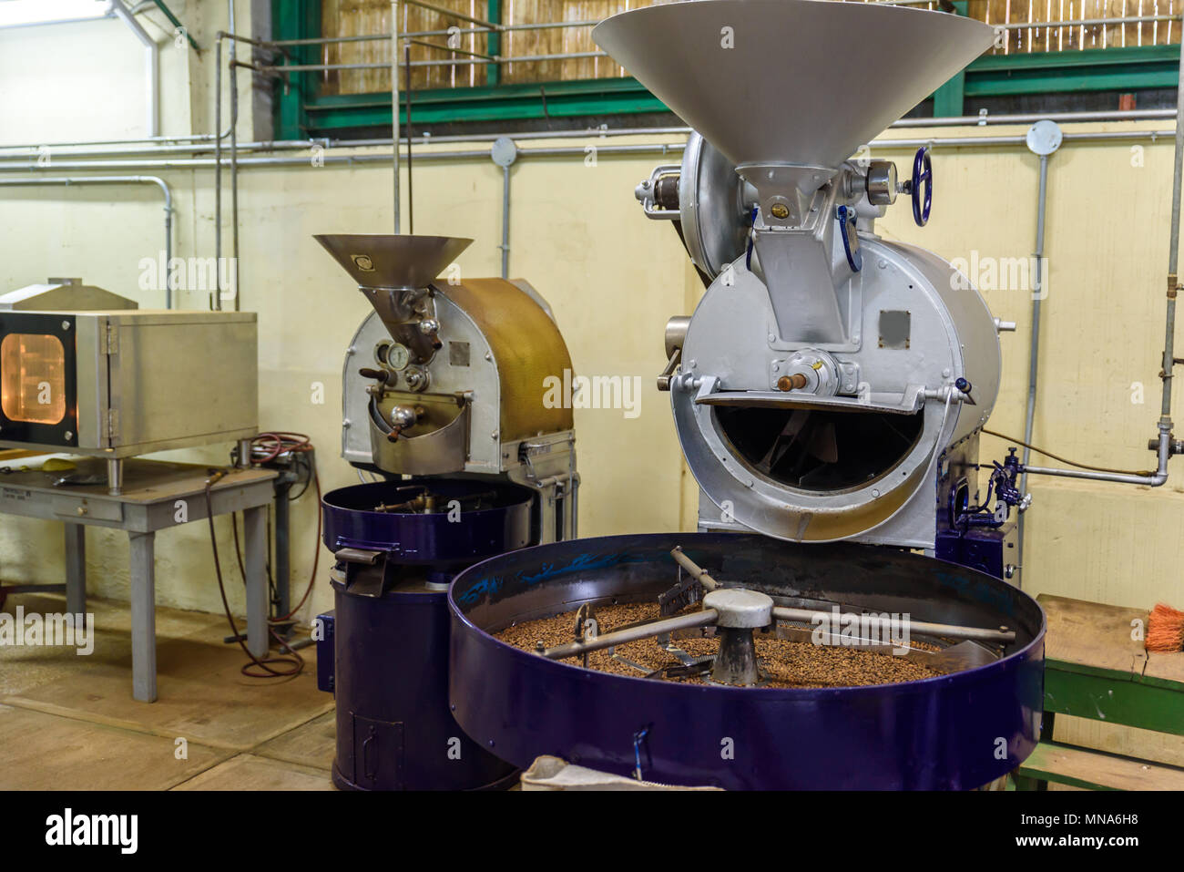 Kaffee Bohnen beim Rösten. Trommeltyp Röster. Rosting Prozess der ...