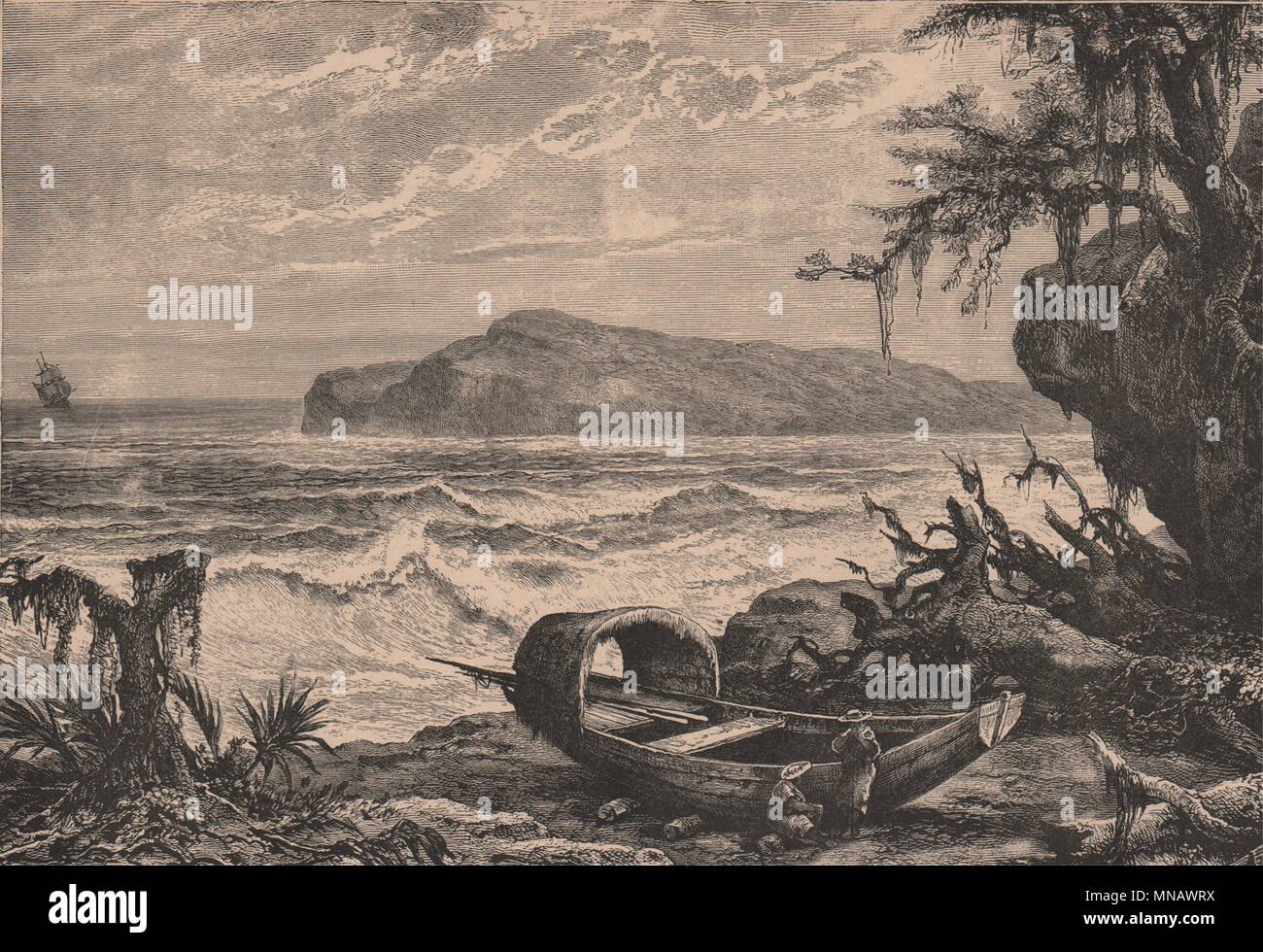 île de la tortue -Fotos und -Bildmaterial in hoher Auflösung – Alamy