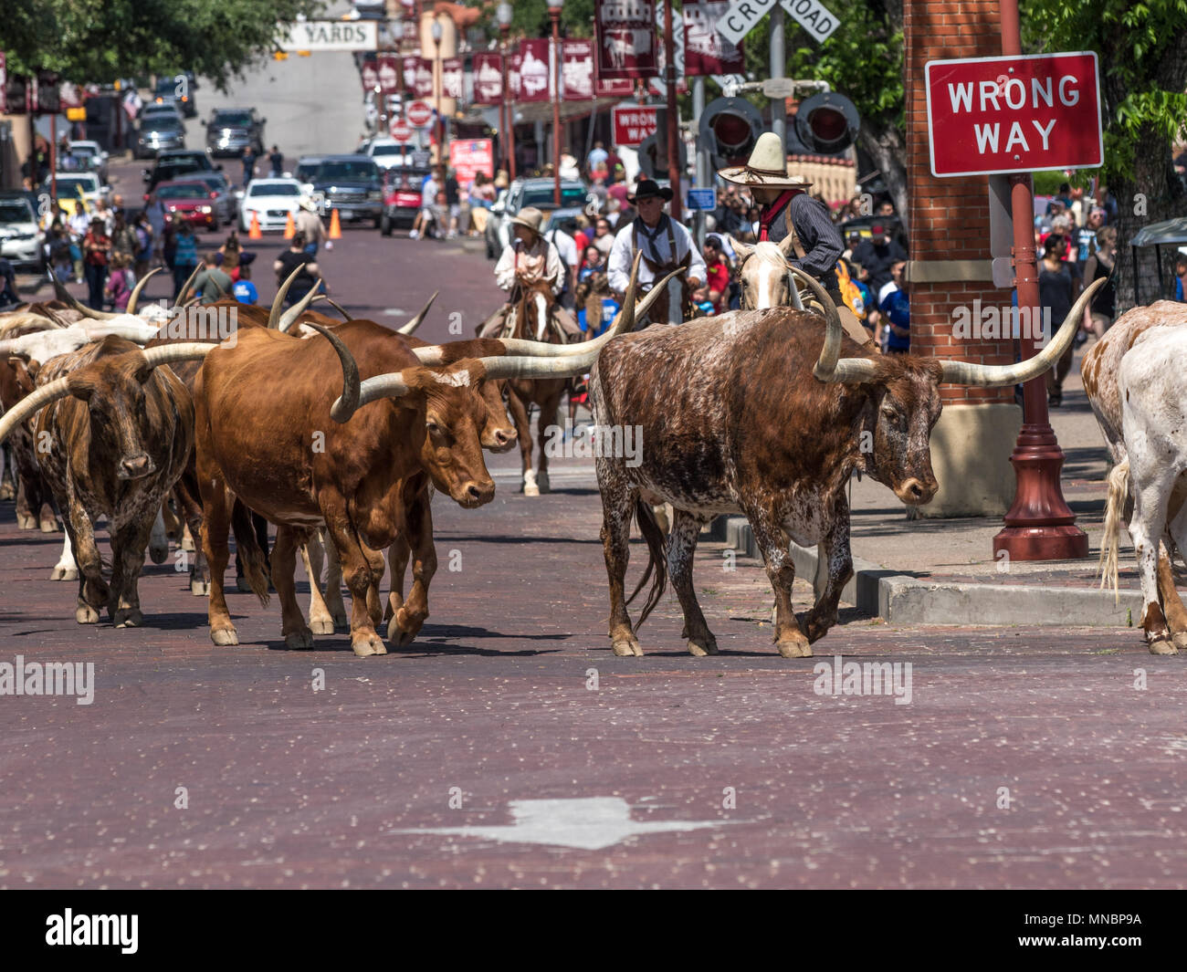 Longhorn stockyard zeichen -Fotos und -Bildmaterial in hoher Auflösung ...