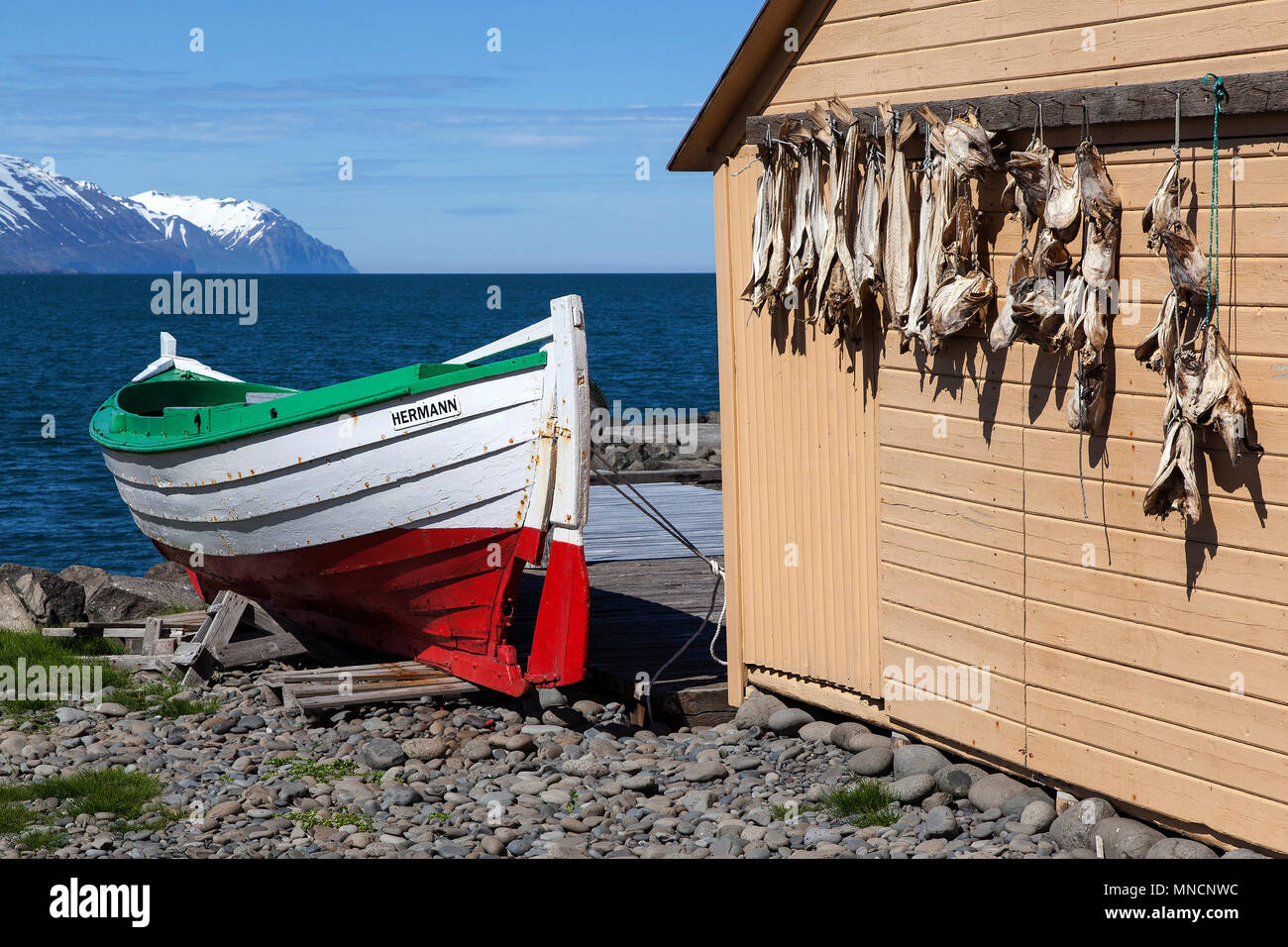 Secchi di pesce di mare -Fotos und -Bildmaterial in hoher Auflösung – Alamy