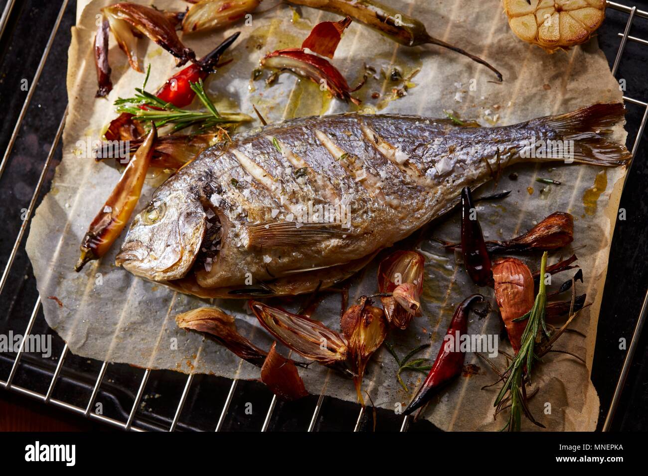 Dorade auf grill -Fotos und -Bildmaterial in hoher Auflösung – Alamy