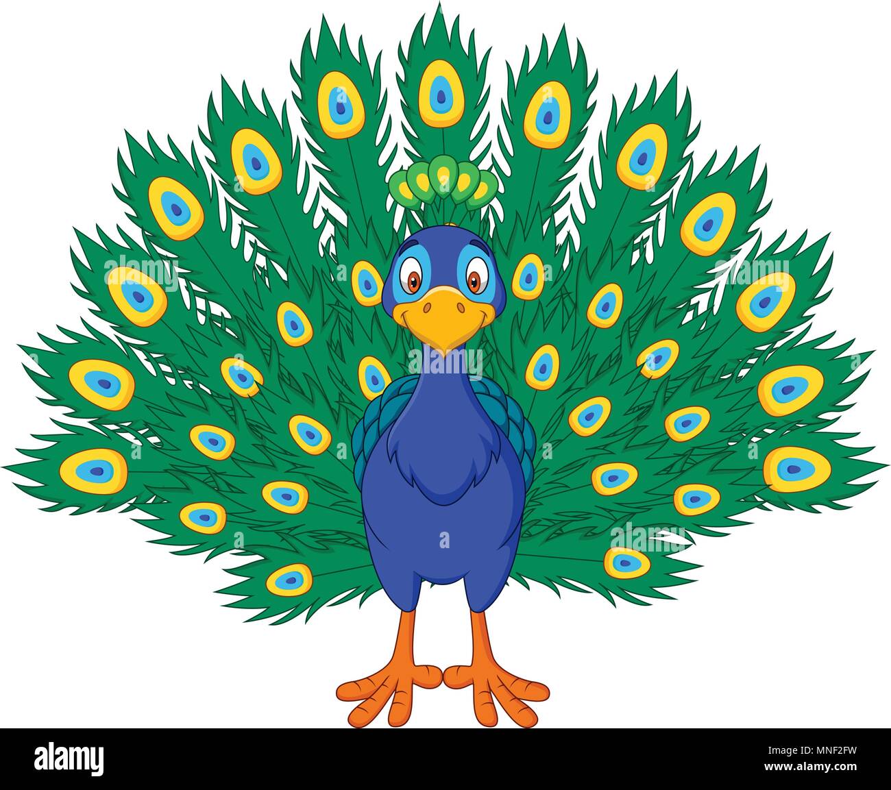 Cartoon schöne Pfau Stock-Vektorgrafik - Alamy