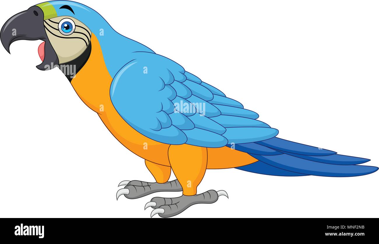 Macaw cartoon -Fotos und -Bildmaterial in hoher Auflösung – Alamy