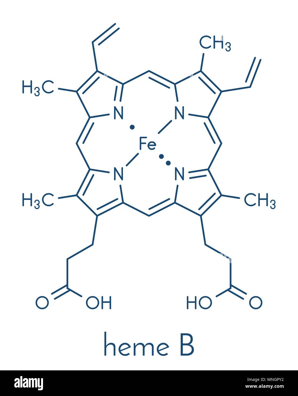 Hämoglobin struktur chemie Stock-Vektorgrafiken kaufen - Alamy