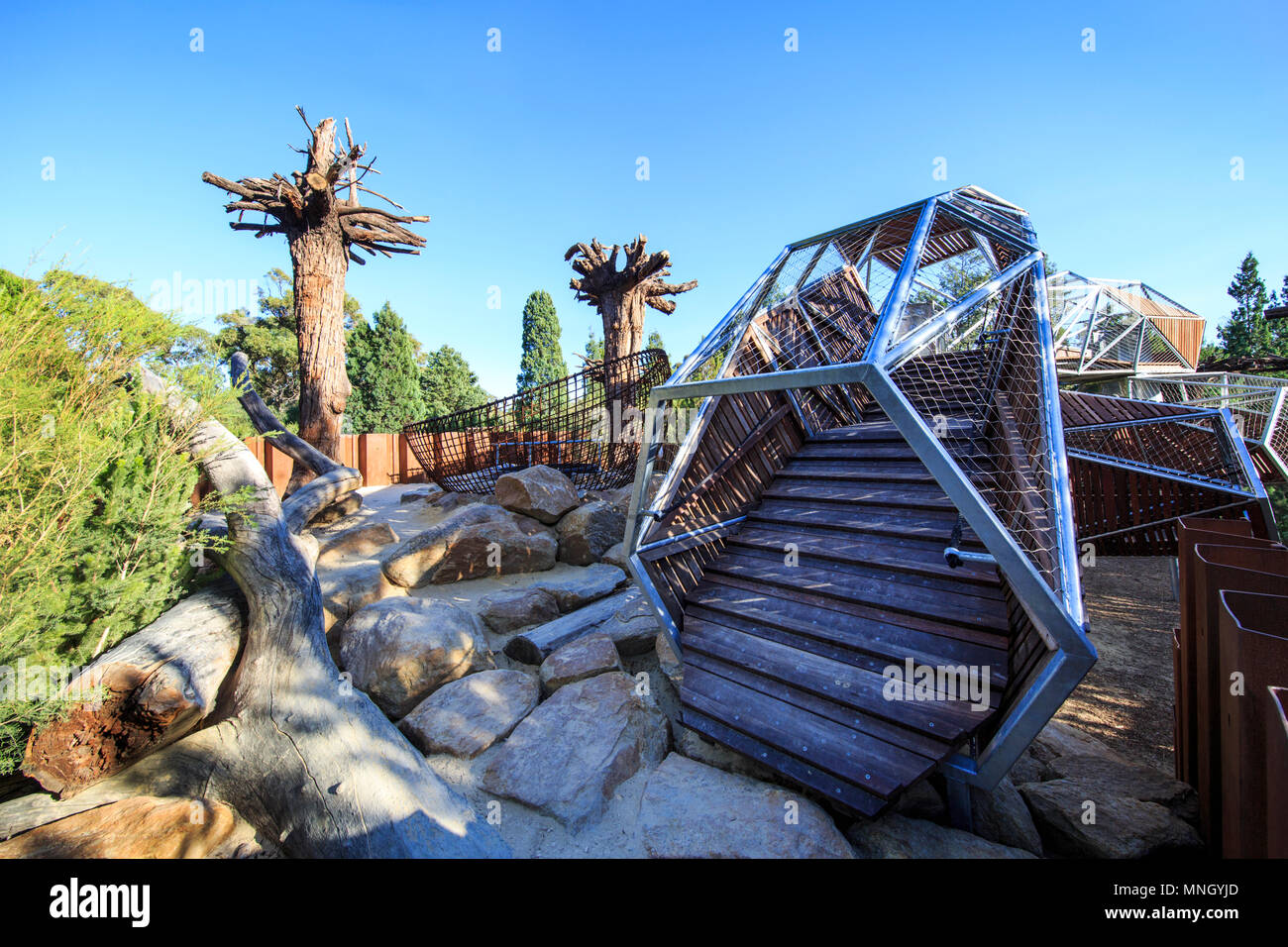 Die bungarra -Fotos und -Bildmaterial in hoher Auflösung – Alamy