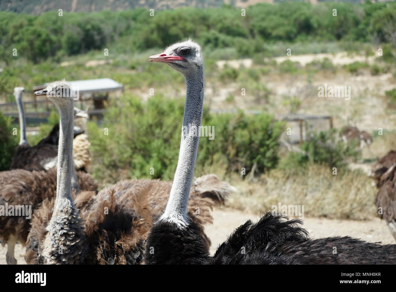 Cosa vedere in -Fotos und -Bildmaterial in hoher Auflösung – Alamy