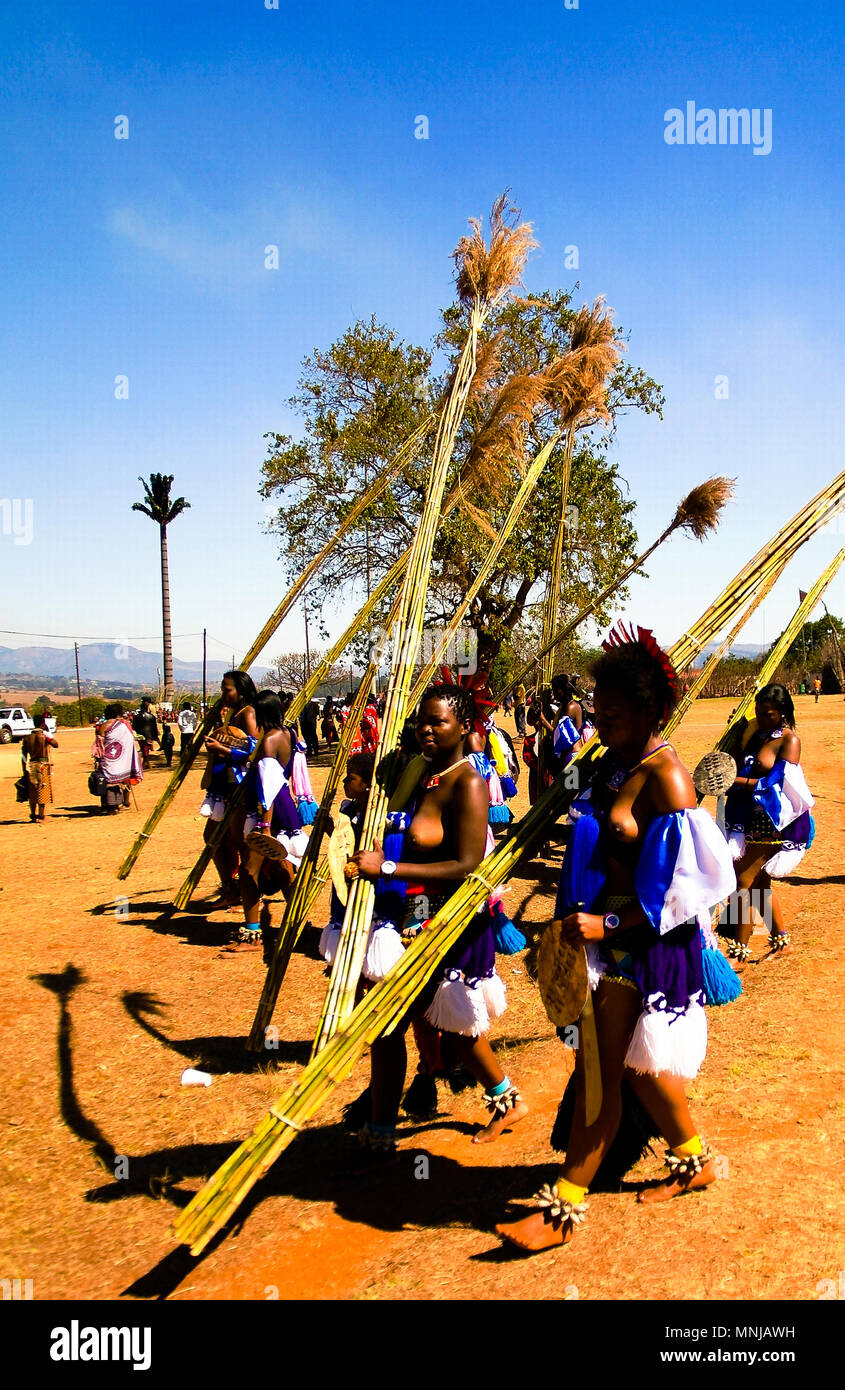 Umhlanga reed tanz -Fotos und -Bildmaterial in hoher Auflösung – Alamy