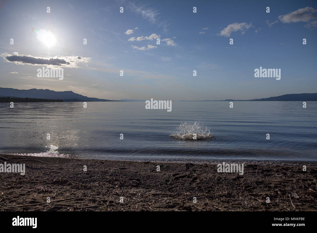 Stuart niedrig -Fotos und -Bildmaterial in hoher Auflösung – Alamy