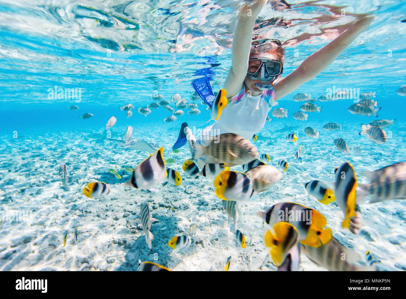 Fisch und Wasser Stockfotos und -bilder Kaufen - Alamy