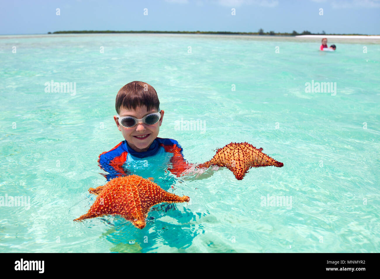 Riesen Seestern Stockfotos und -bilder Kaufen - Alamy