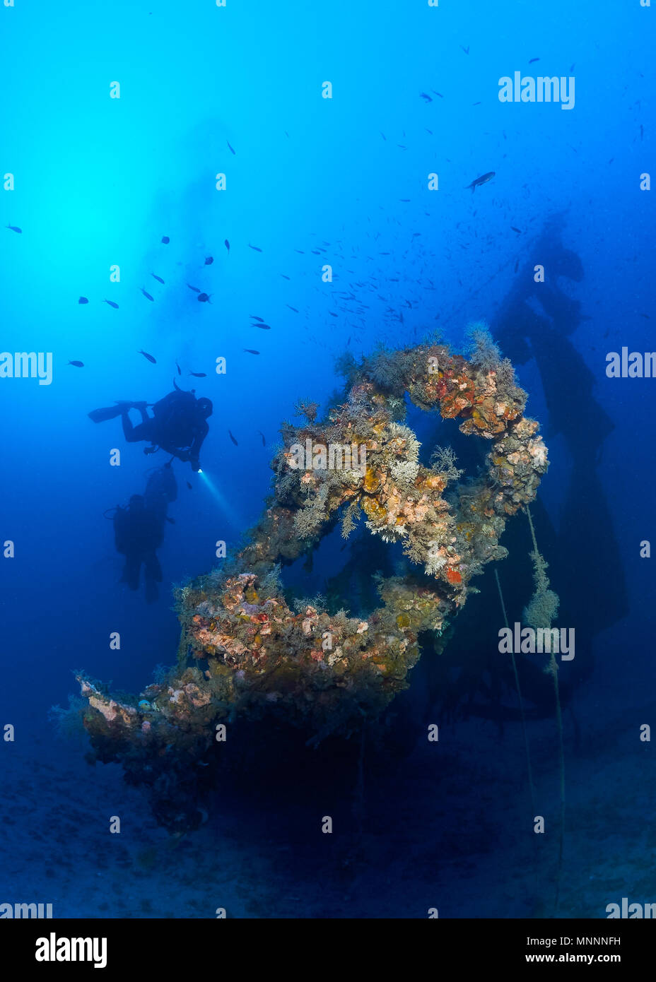 Ship wreck deep sea -Fotos und -Bildmaterial in hoher Auflösung – Alamy