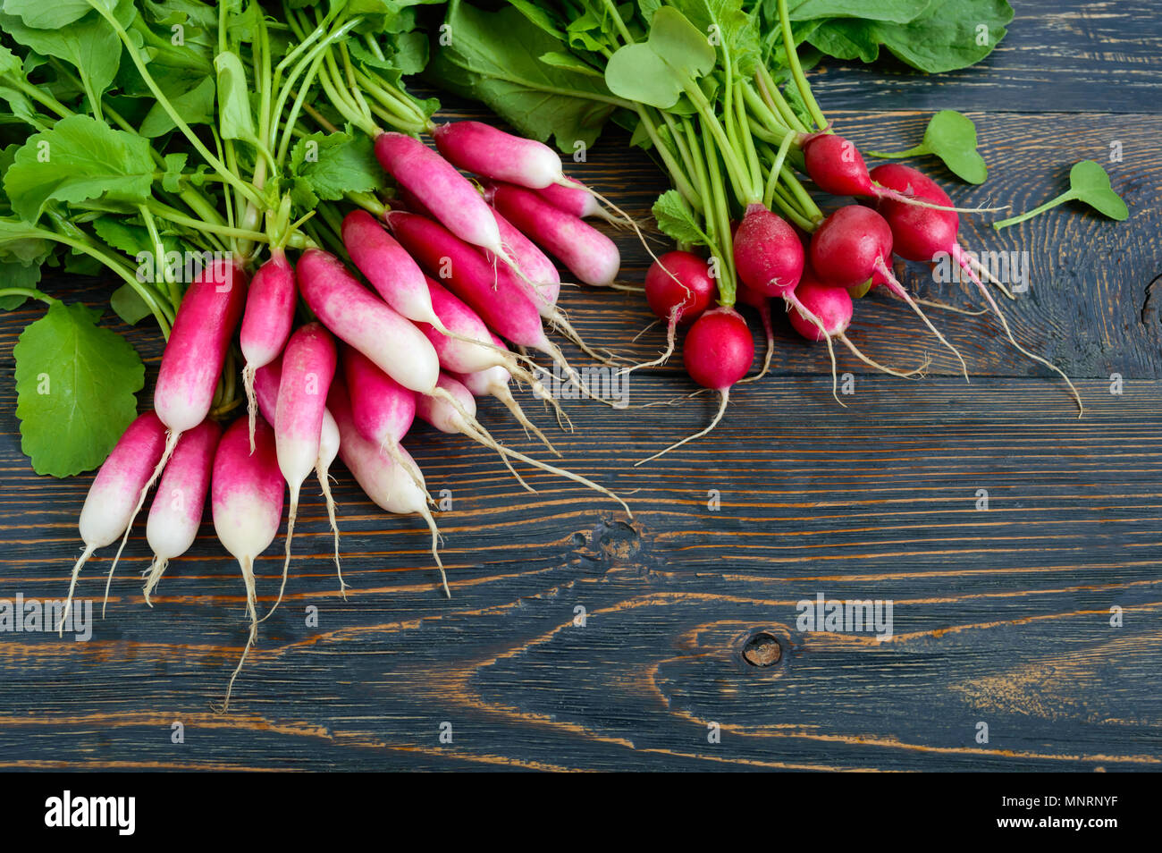 Sommer geernteten roten Rettich. Wachsende Bio Gemüse. Große Haufen ...
