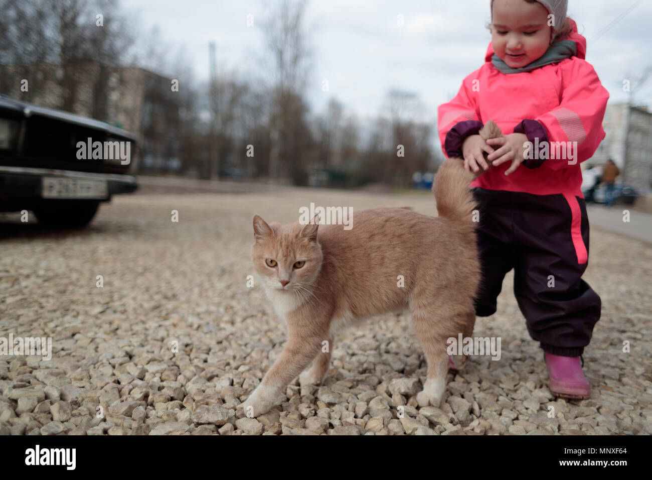 Kleines mädchen mit katze -Fotos und -Bildmaterial in hoher Auflösung ...
