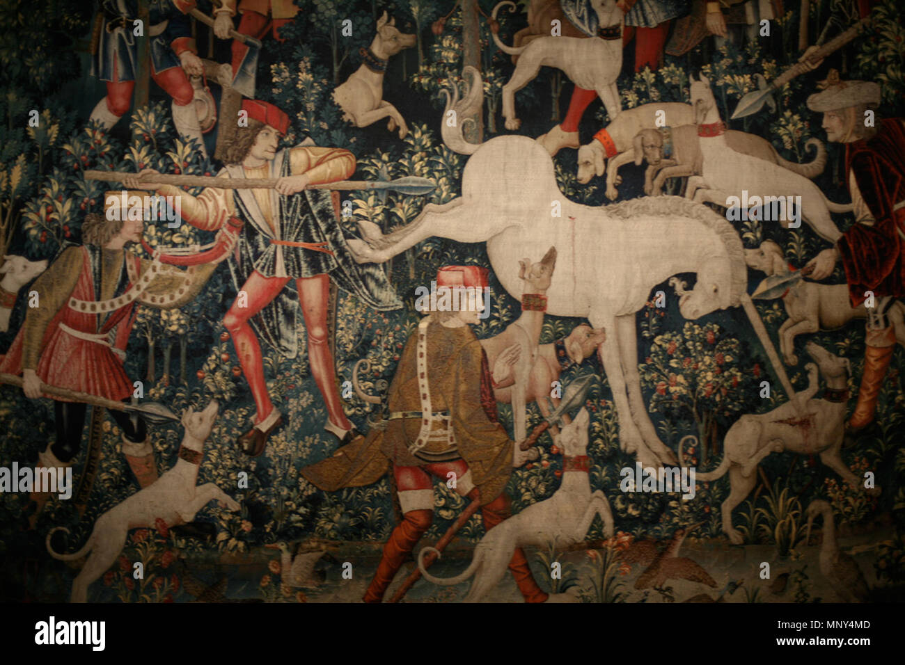 Einhorn verteidigt sich -Fotos und -Bildmaterial in hoher Auflösung – Alamy