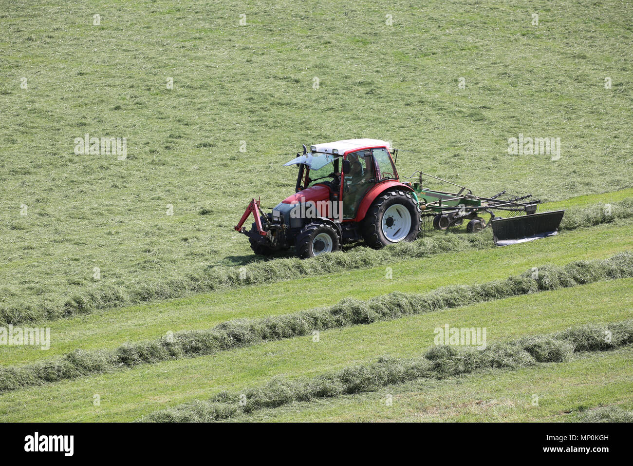 Bauern ernten ein Feld mit Hilfe von landwirtschaftlichen Maschinen ...
