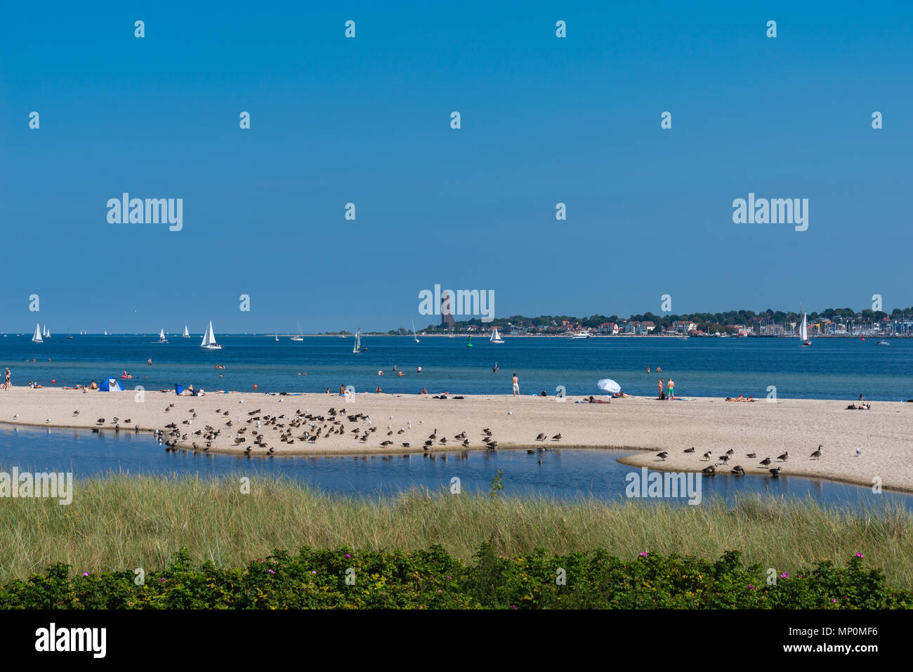 Falkenstein strand -Fotos und -Bildmaterial in hoher Auflösung – Alamy