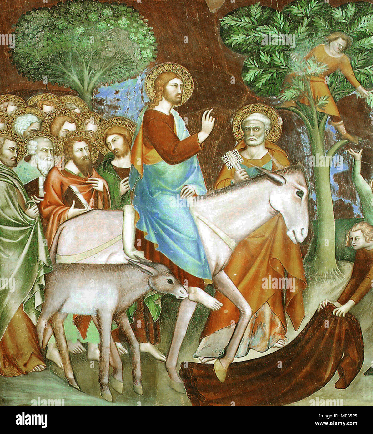 Filippo di memmo -Fotos und -Bildmaterial in hoher Auflösung – Alamy