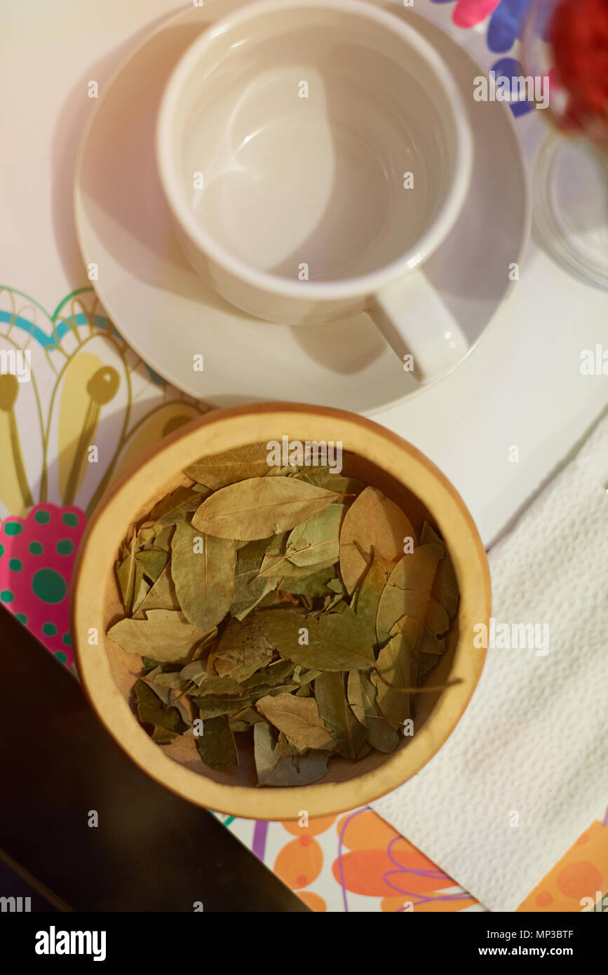 Coca leaf tea -Fotos und -Bildmaterial in hoher Auflösung – Alamy