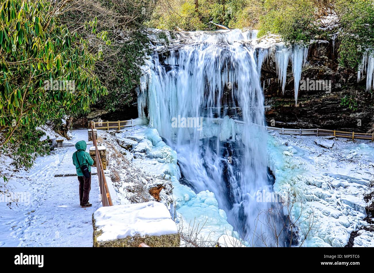 Vogel mit babys -Fotos und -Bildmaterial in hoher Auflösung – Alamy