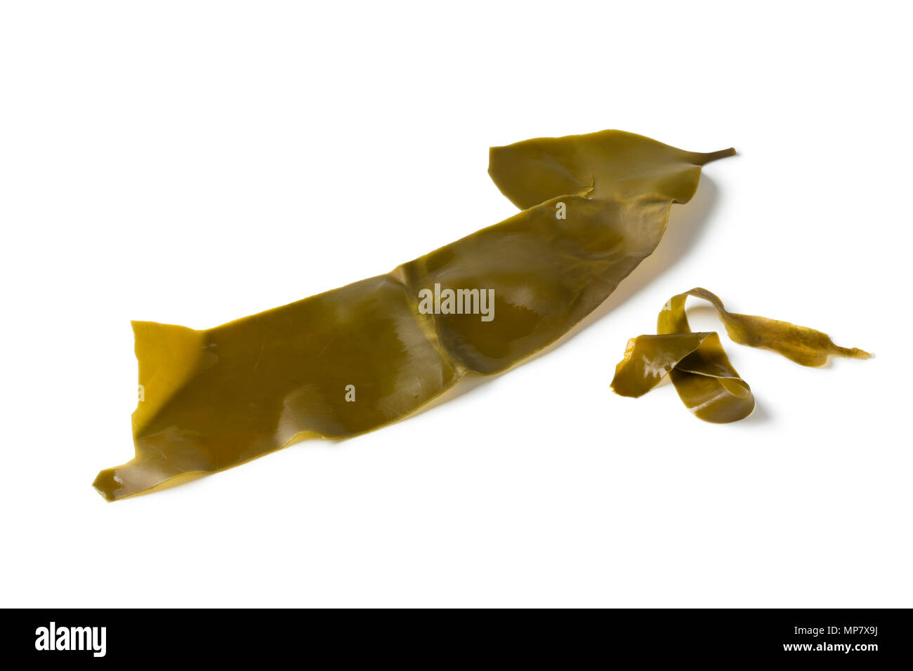 Kelp seaweed -Fotos und -Bildmaterial in hoher Auflösung – Alamy