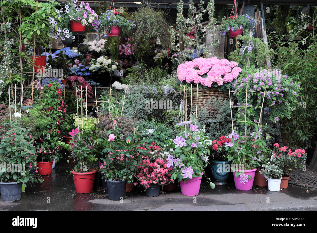 Marche aux fleurs -Fotos und -Bildmaterial in hoher Auflösung – Alamy