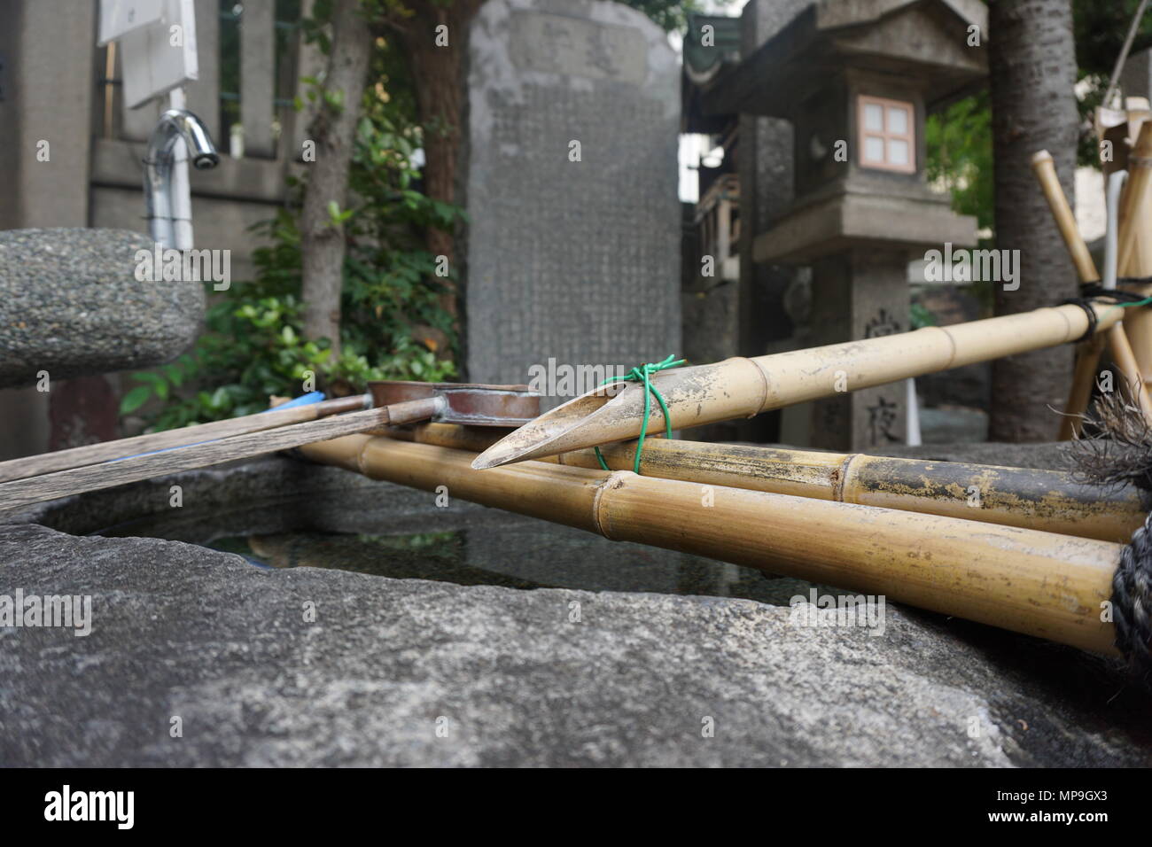 Schriftart bambus -Fotos und -Bildmaterial in hoher Auflösung – Alamy