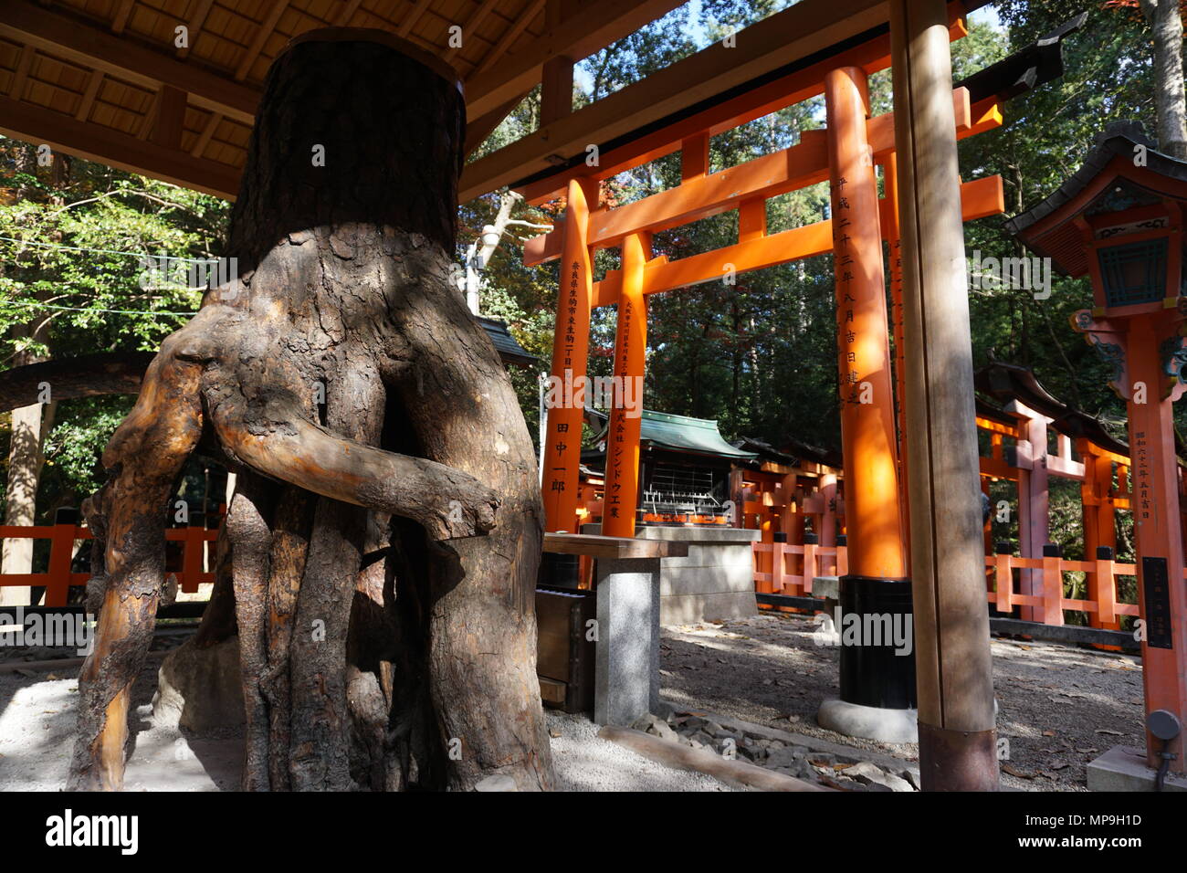 Schriftart bambus -Fotos und -Bildmaterial in hoher Auflösung – Alamy
