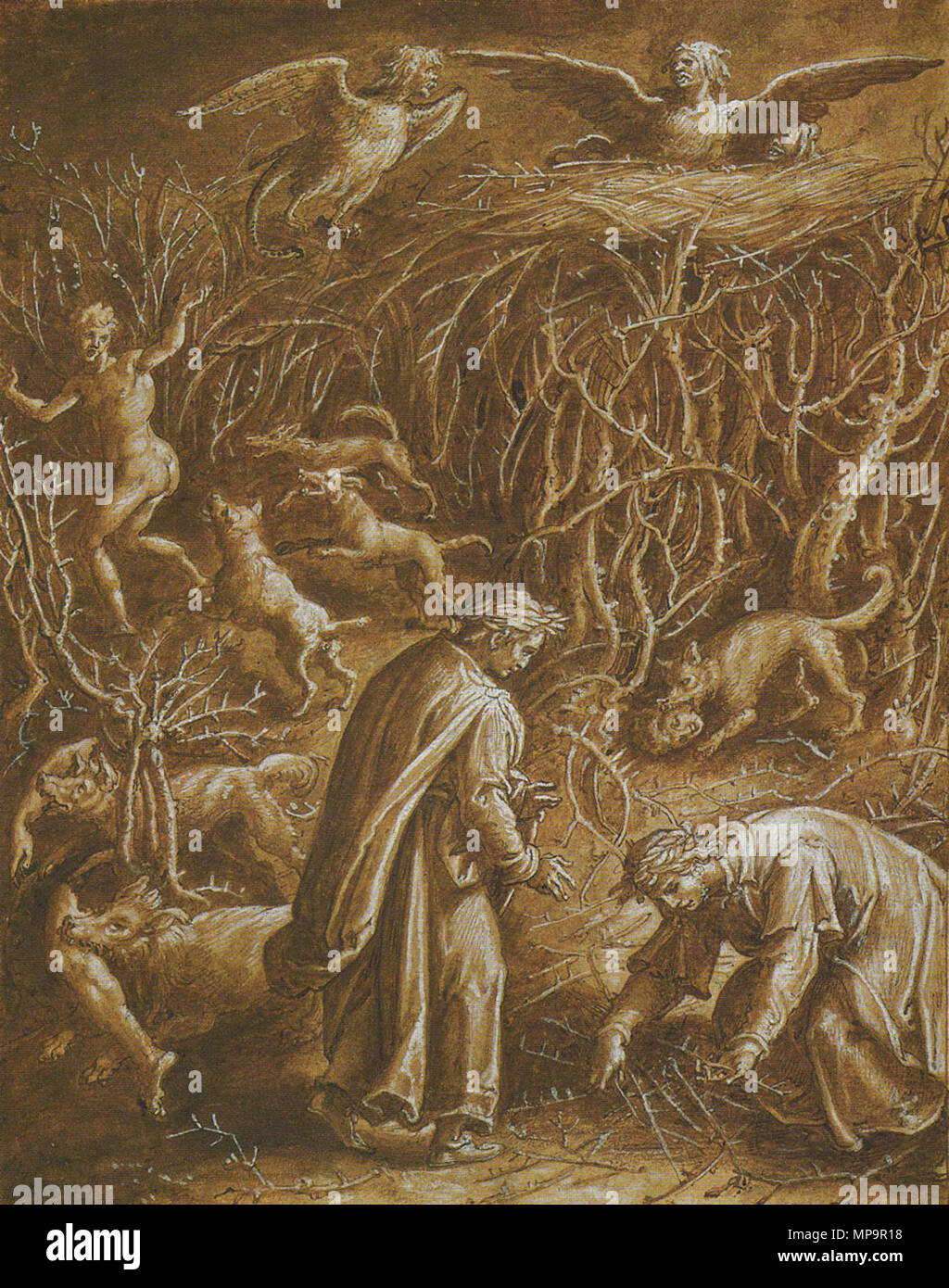 Jan van straet -Fotos und -Bildmaterial in hoher Auflösung – Alamy