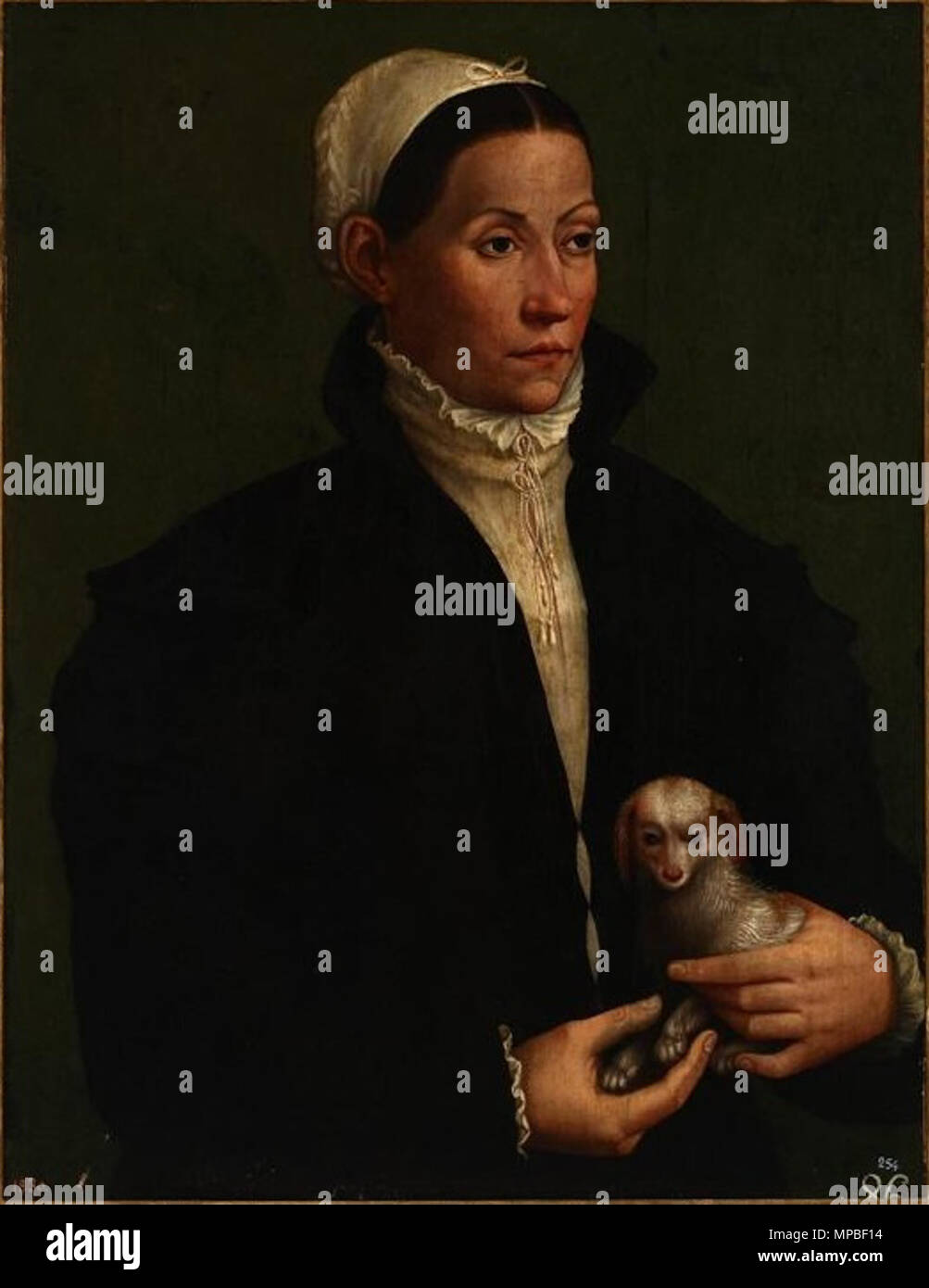 Nicolas de neufchatel -Fotos und -Bildmaterial in hoher Auflösung – Alamy