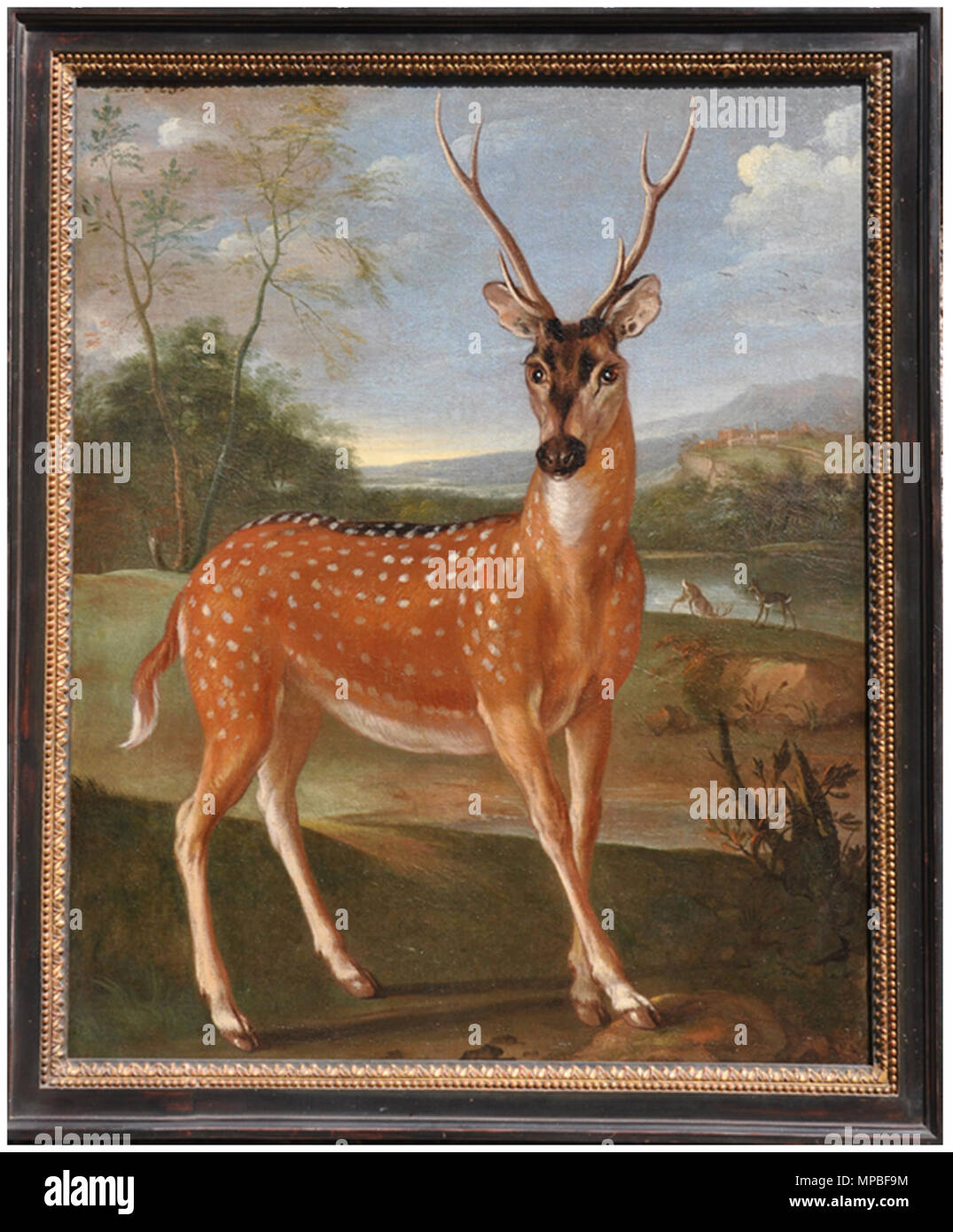 Nicasius bernaerts -Fotos und -Bildmaterial in hoher Auflösung – Alamy