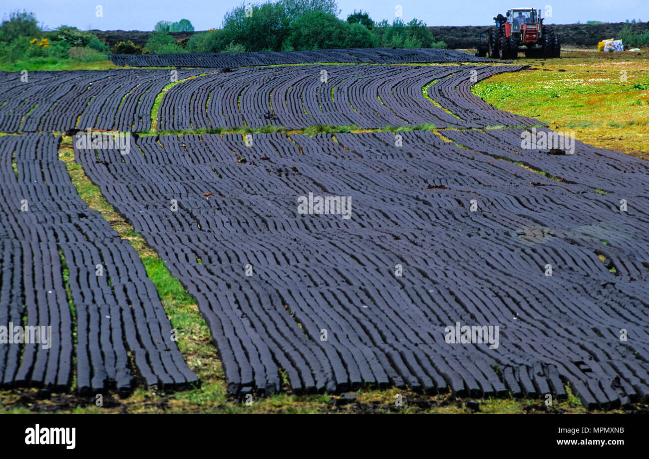 Torf verwenden -Fotos und -Bildmaterial in hoher Auflösung – Alamy