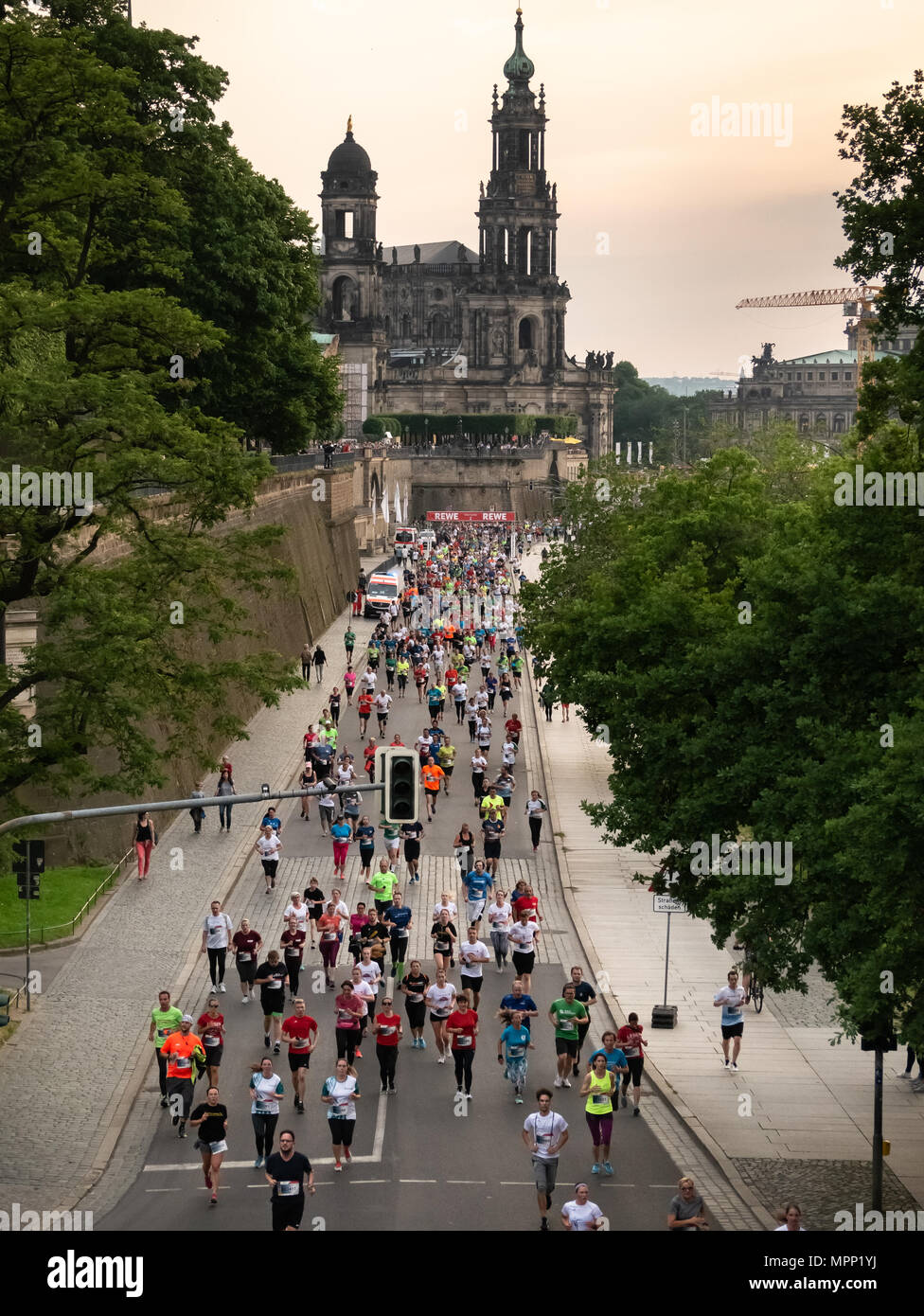Rewe Lauf Dresden _ Rewe Team Challenge Dresden 2025 – TAGH