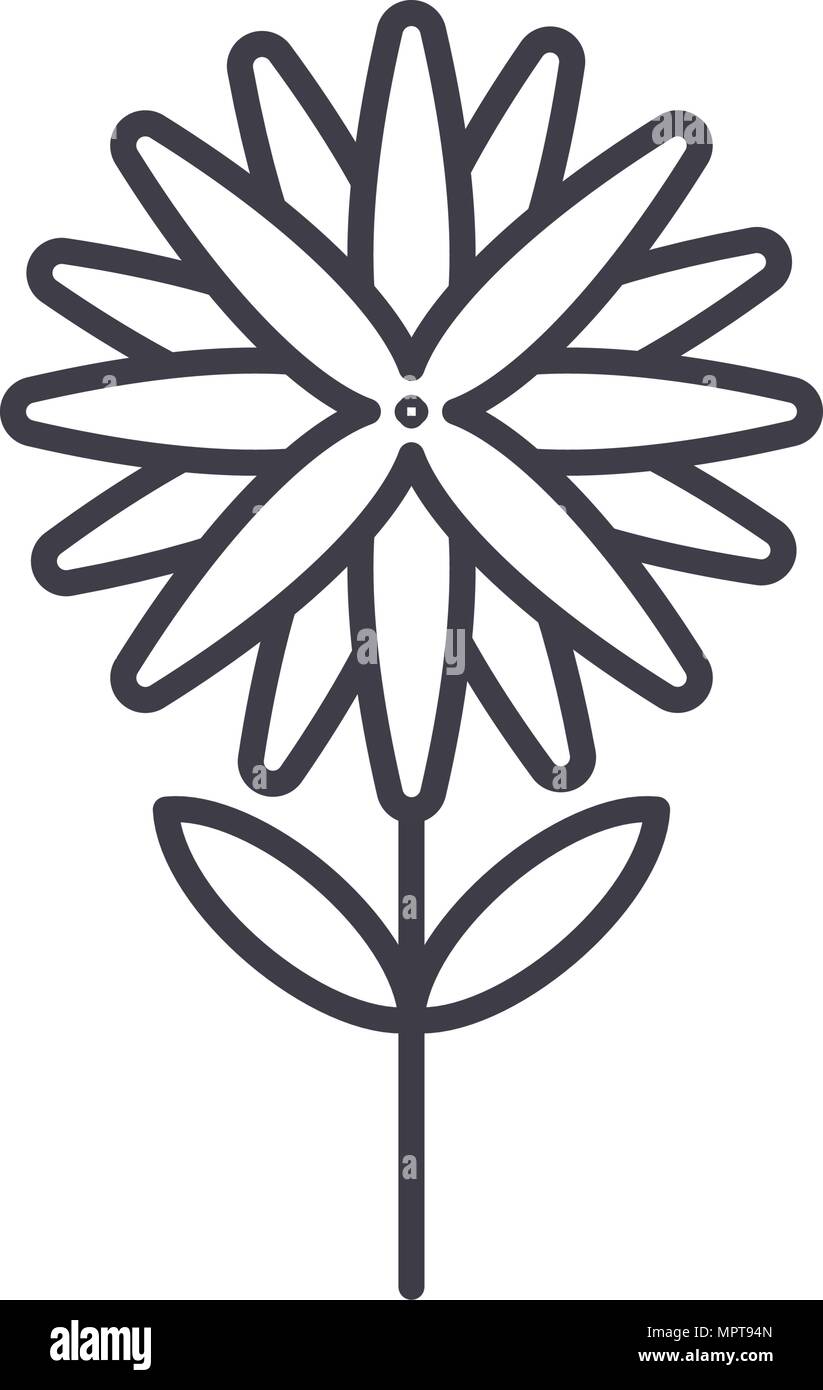 Aster Symbol Leitung Konzept. Aster flachbild Vektor Zeichen, Symbol ...