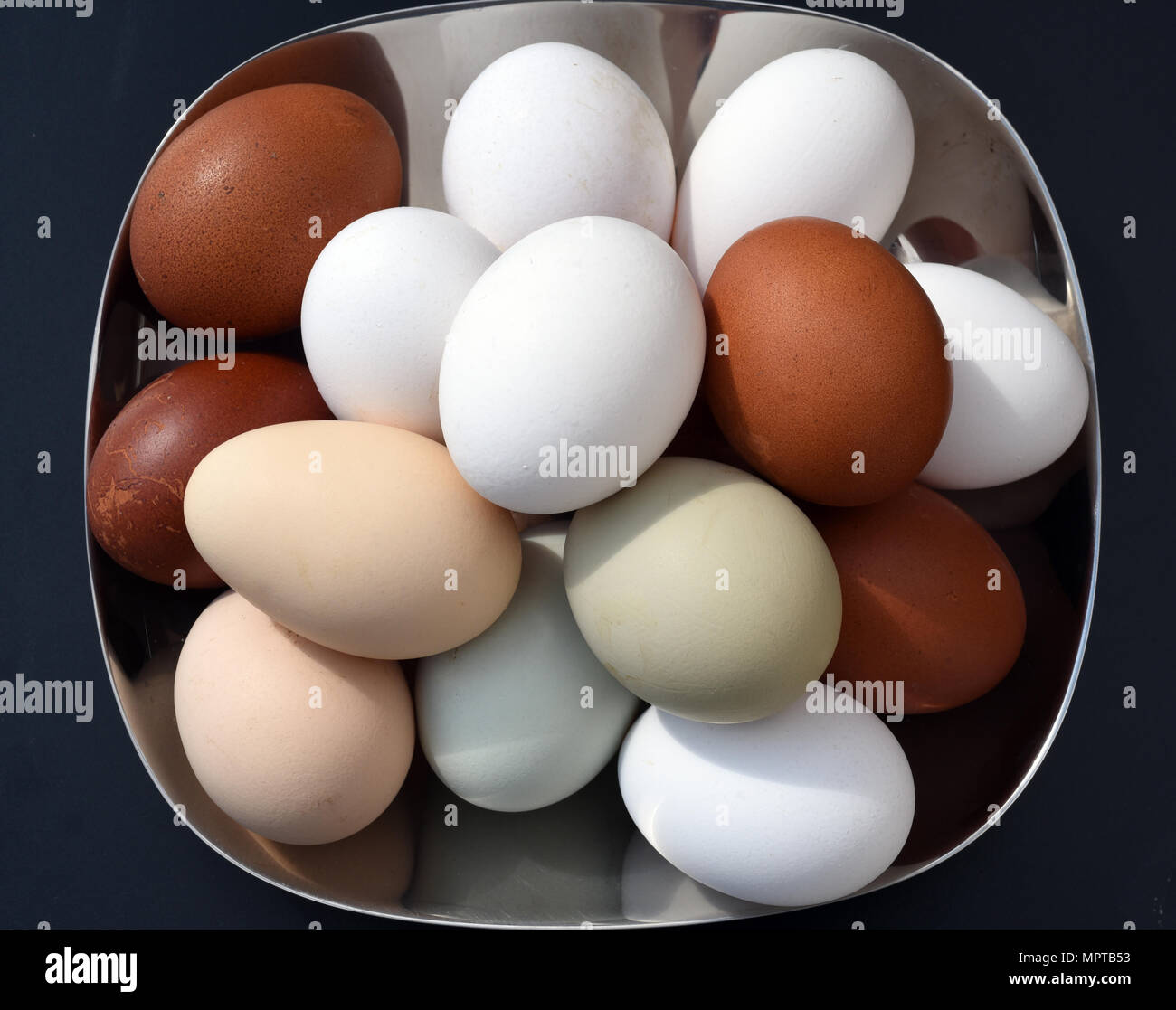 Huehnereier, Eier, ungefaerbt, bunte Stockfotografie - Alamy