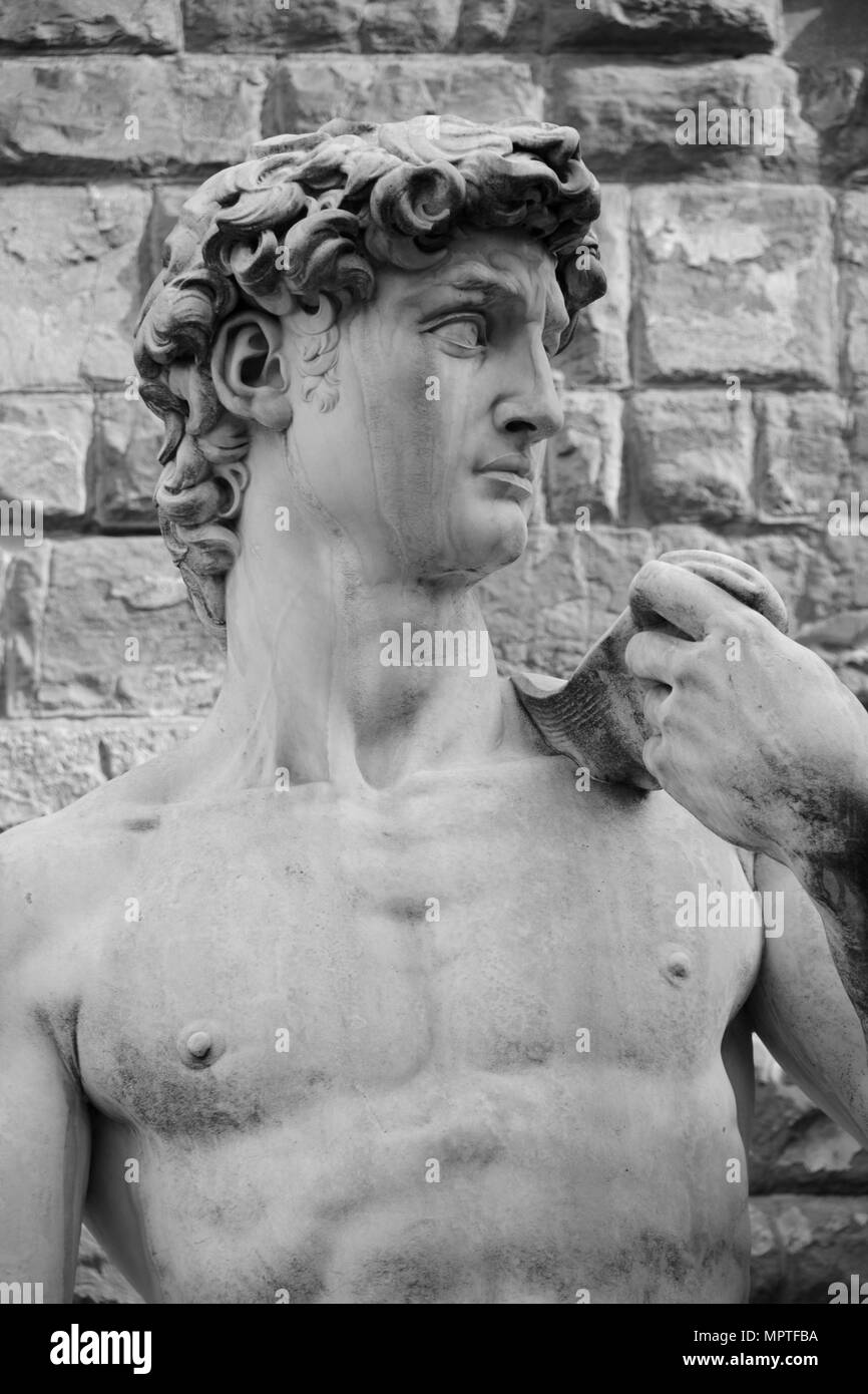 Statue des David von Michelangelo, Florenz Stockfotografie - Alamy