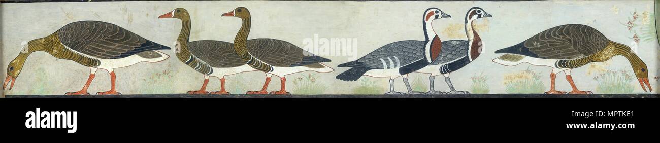 Anna nina macpherson davies -Fotos und -Bildmaterial in hoher Auflösung ...